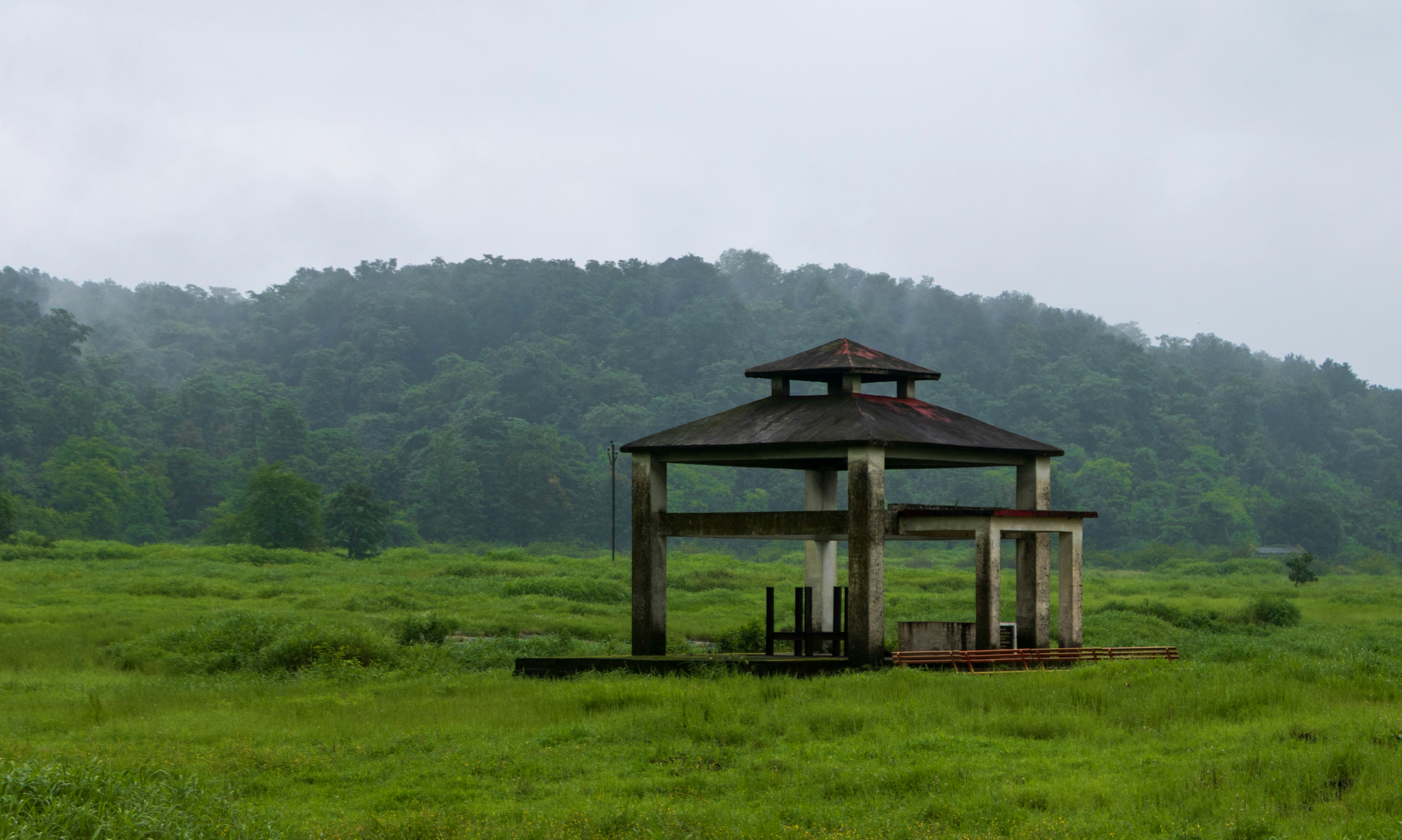 Solitary Pavilion in a Misty Green Expanse