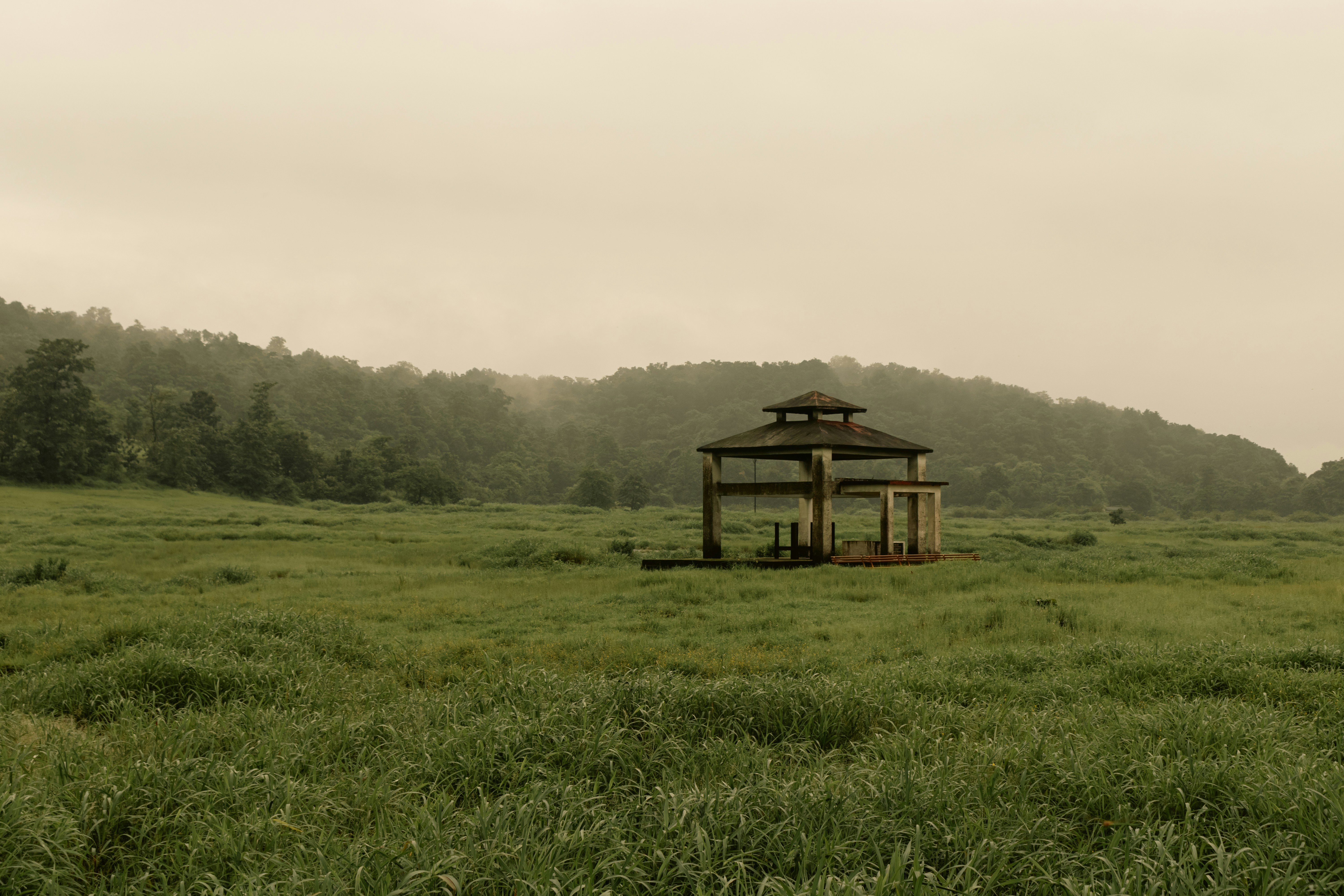 The Quiet Shelter: A Weathered Pavilion in a Sea of Grass