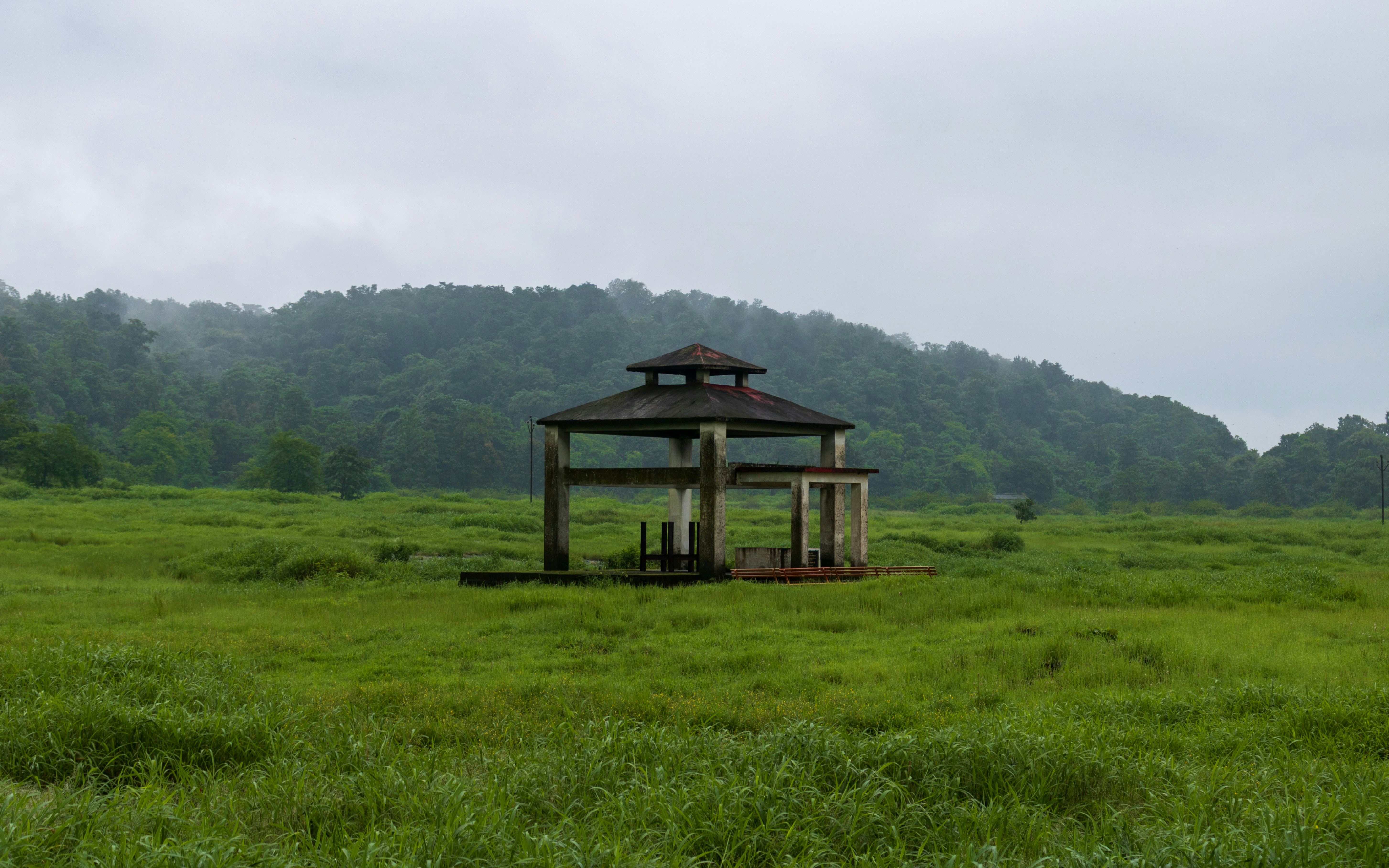 Ruined Pavilion in a Quiet Wetland