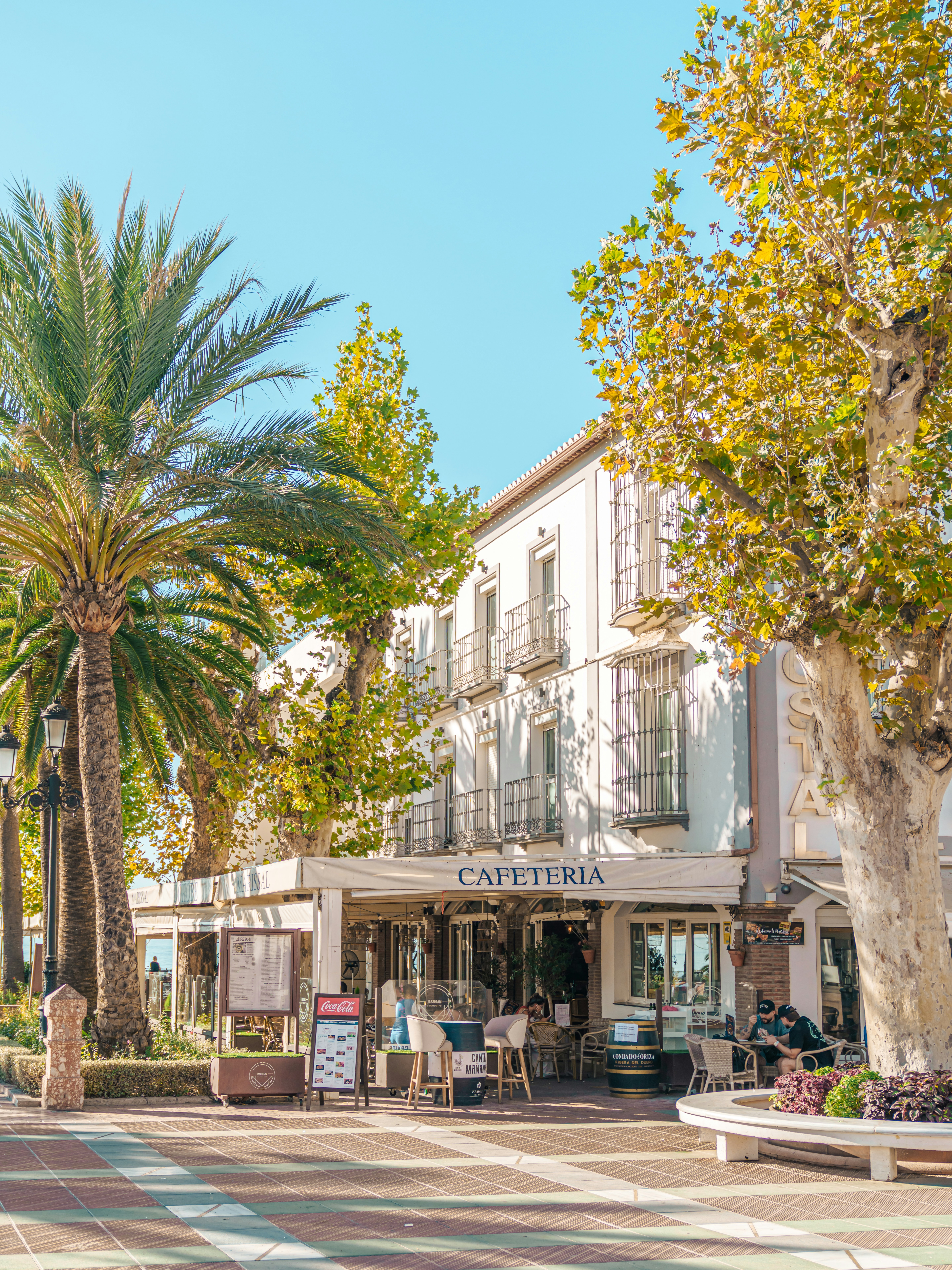 Cafeteria with outdoor seating under palm trees. photo – Free Summer ...