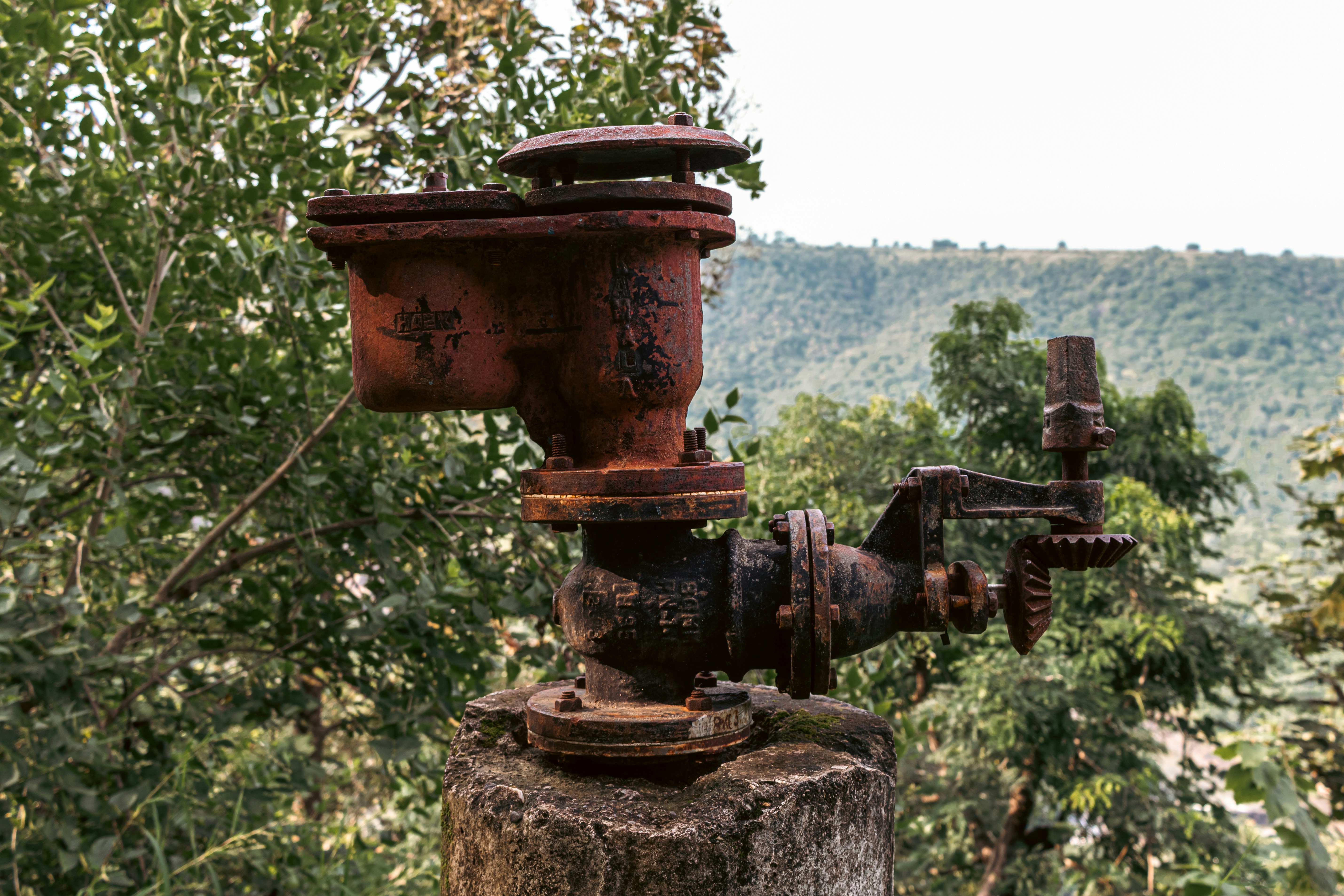 Rusty Valve atop a Weathered Concrete Pedestal against a Verdant Backdrop