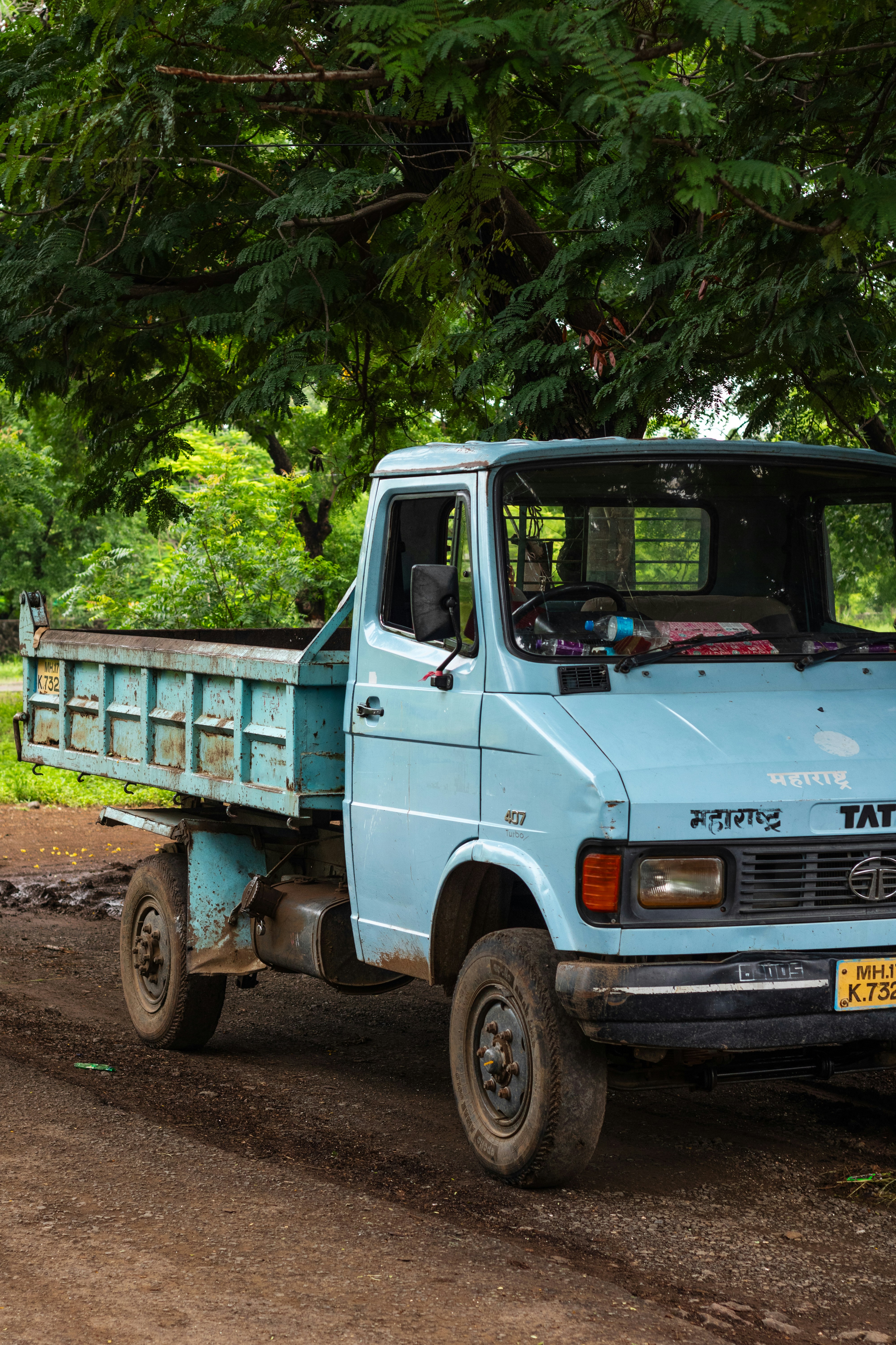 Blue utility truck under a leafy canopy, a quiet roadside scene