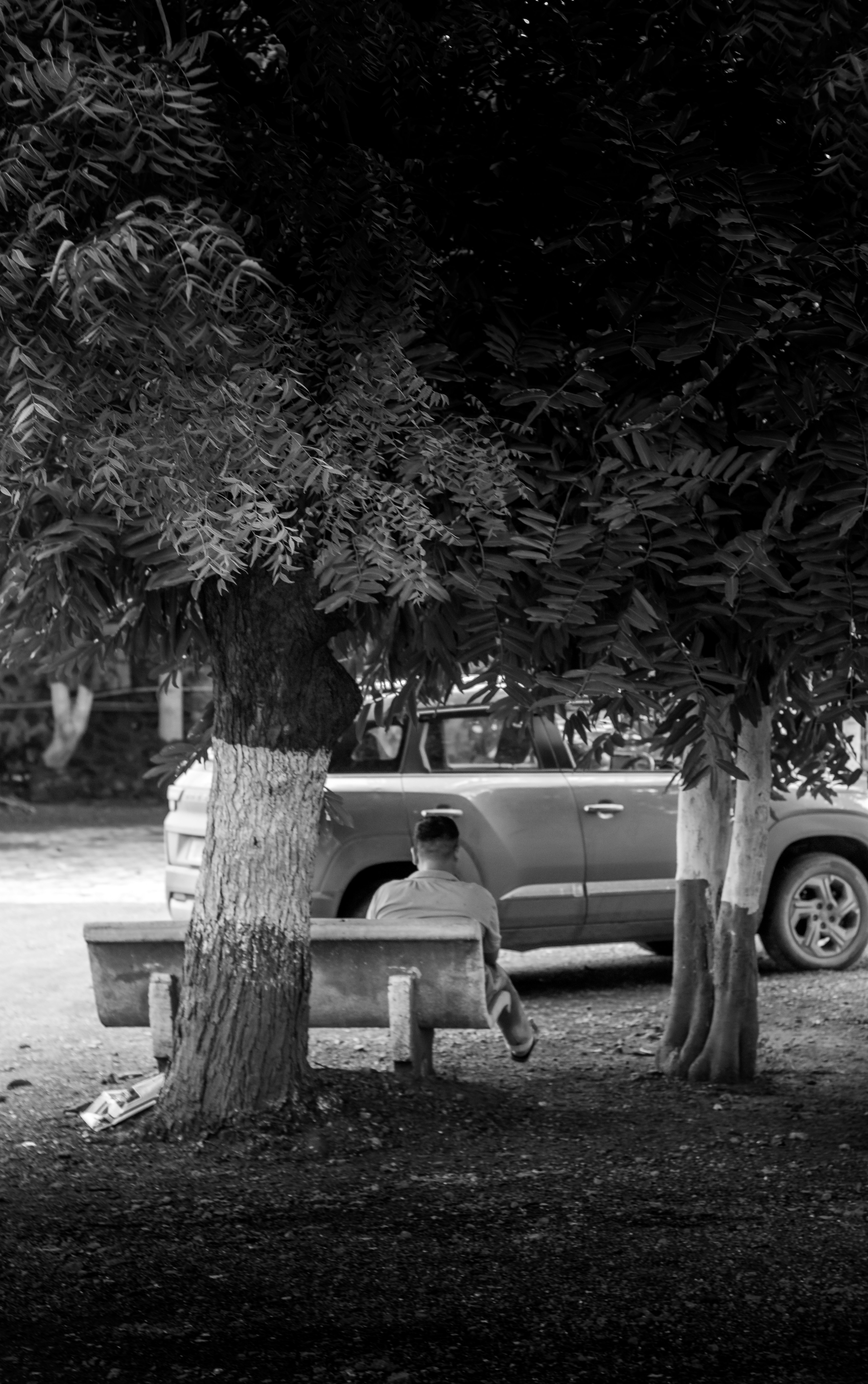 Quiet Reflection Under the Canopy