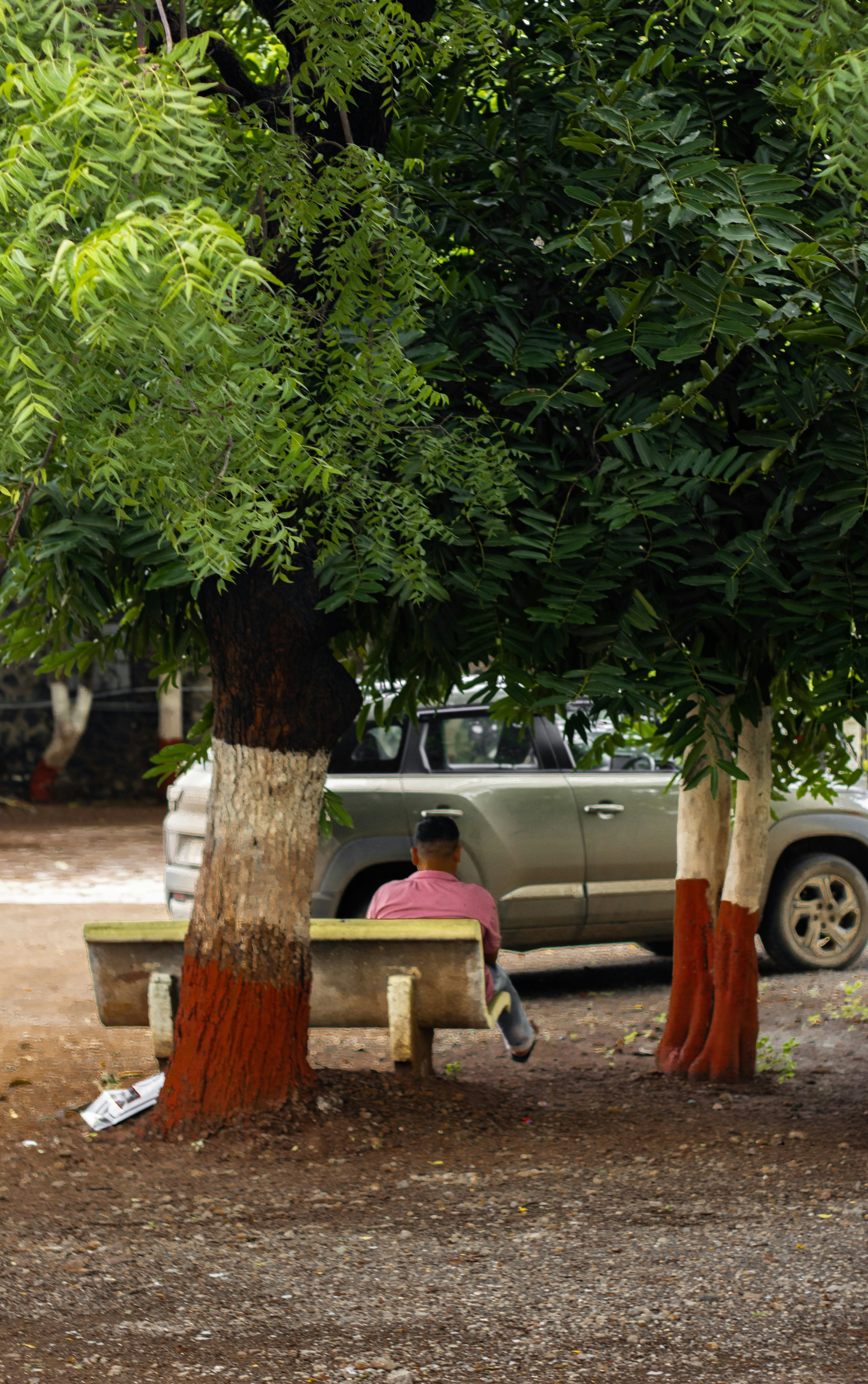 Quiet Rest Beneath the Painted Trees