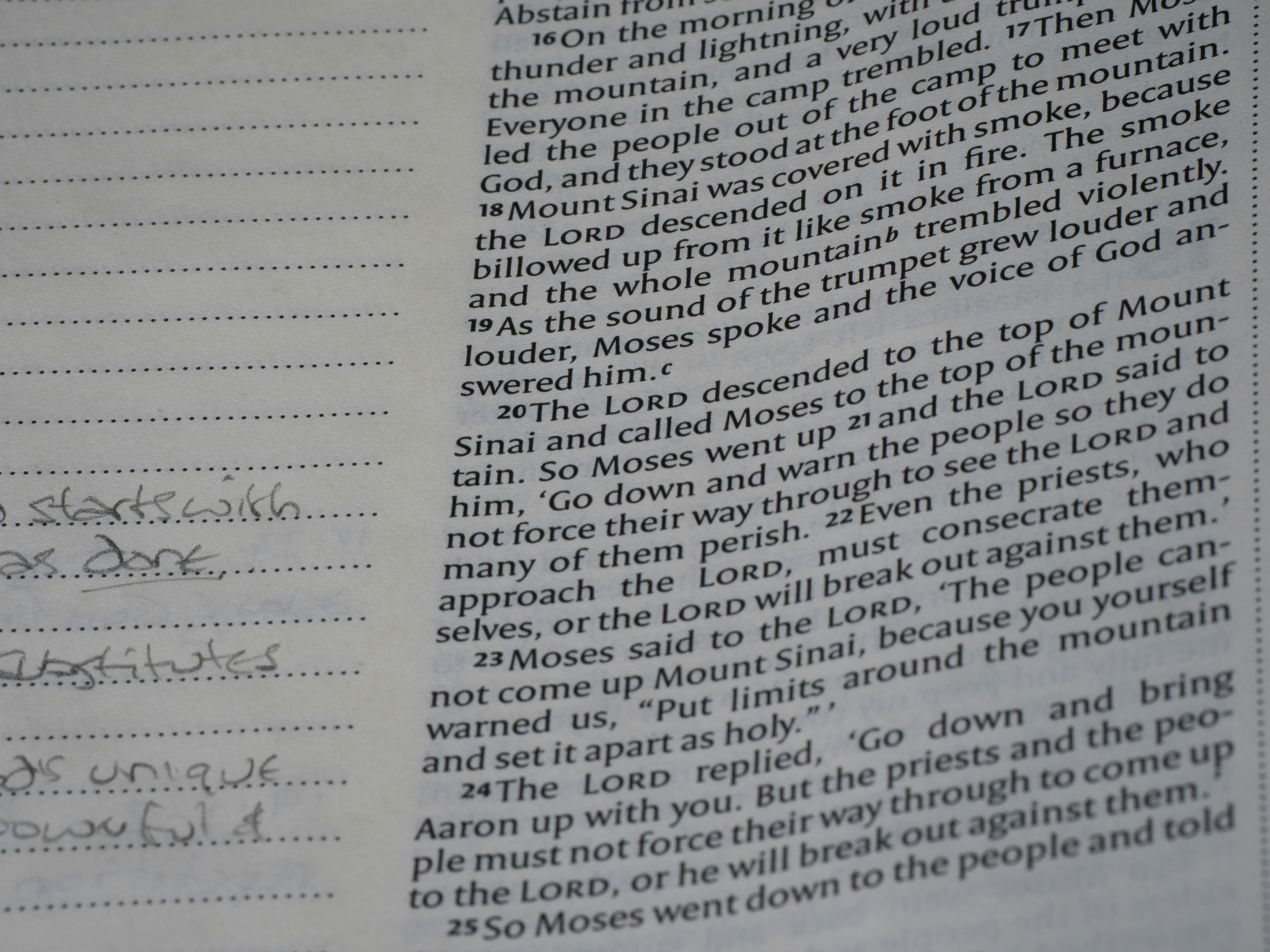 A Page in Focus: Scripture Fragments in Soft Morning Light