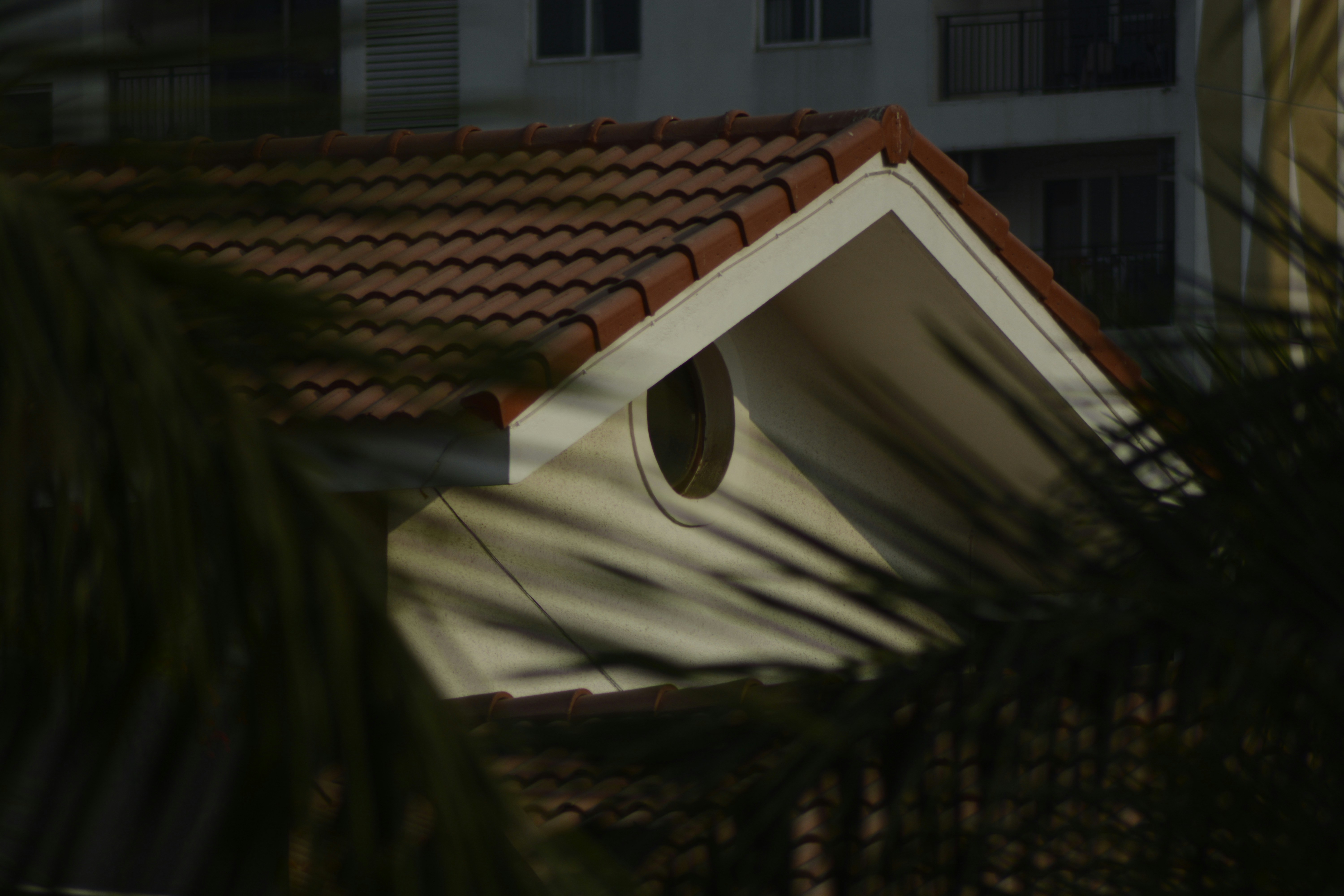 Hidden Gable Dawn: Rooftop Peak Framed by Foliage