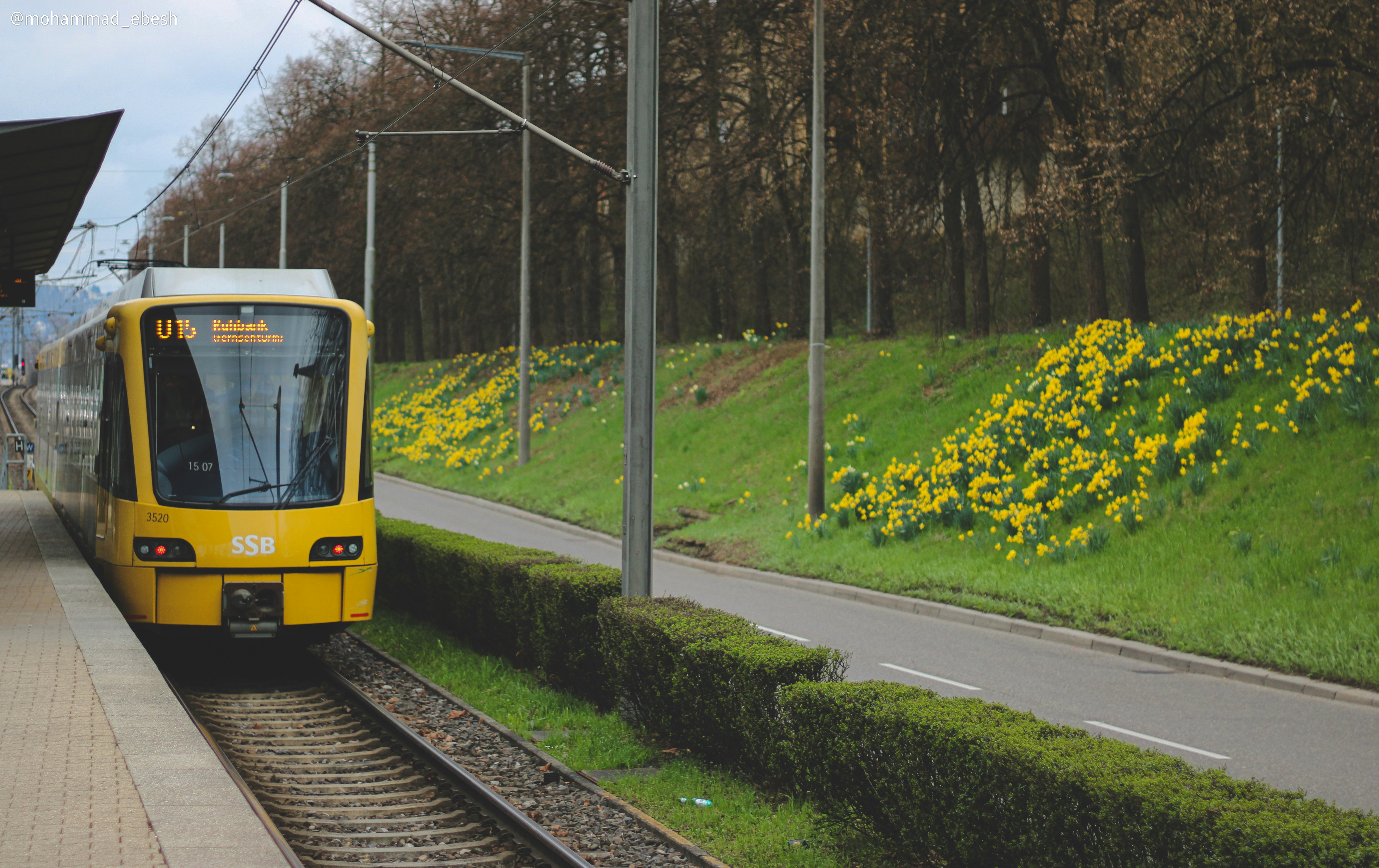Yellow tram at the quiet platform fringe