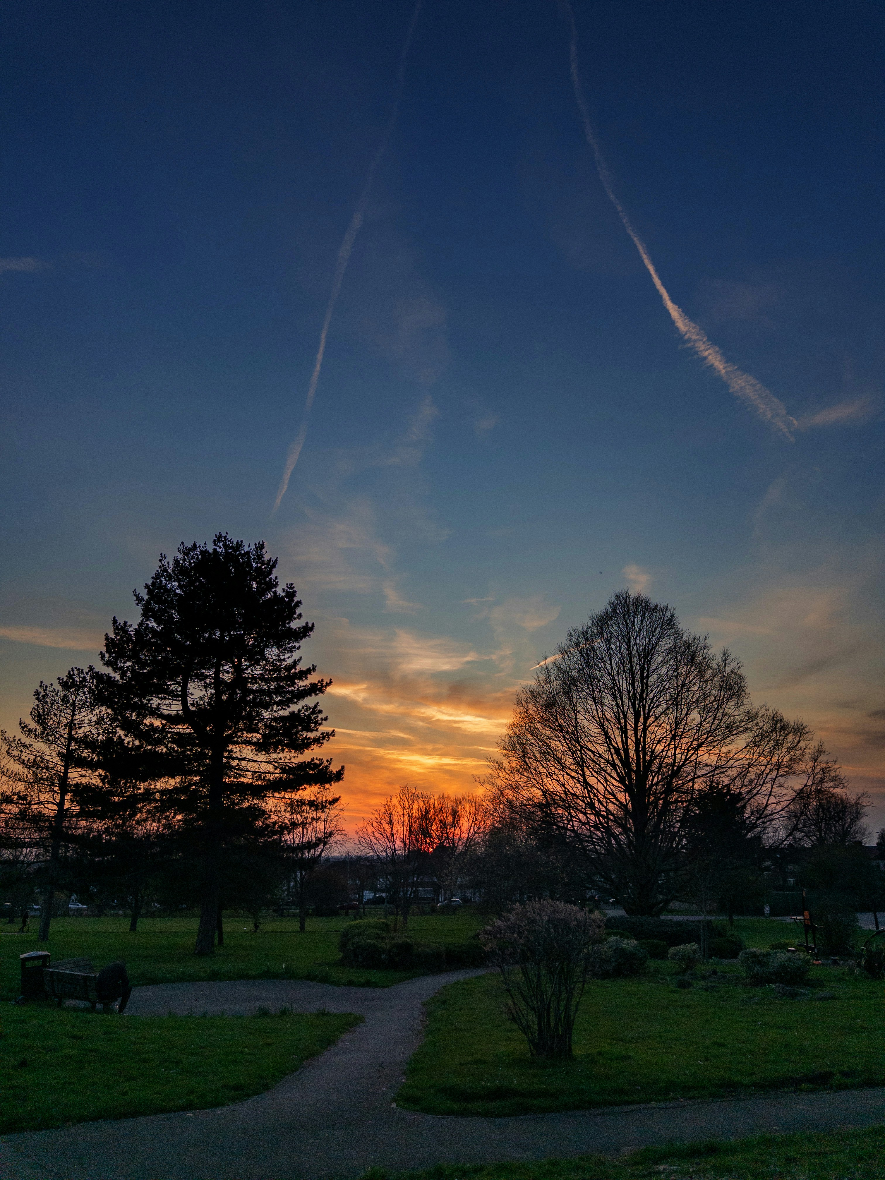 Twilight Pathways through a Park