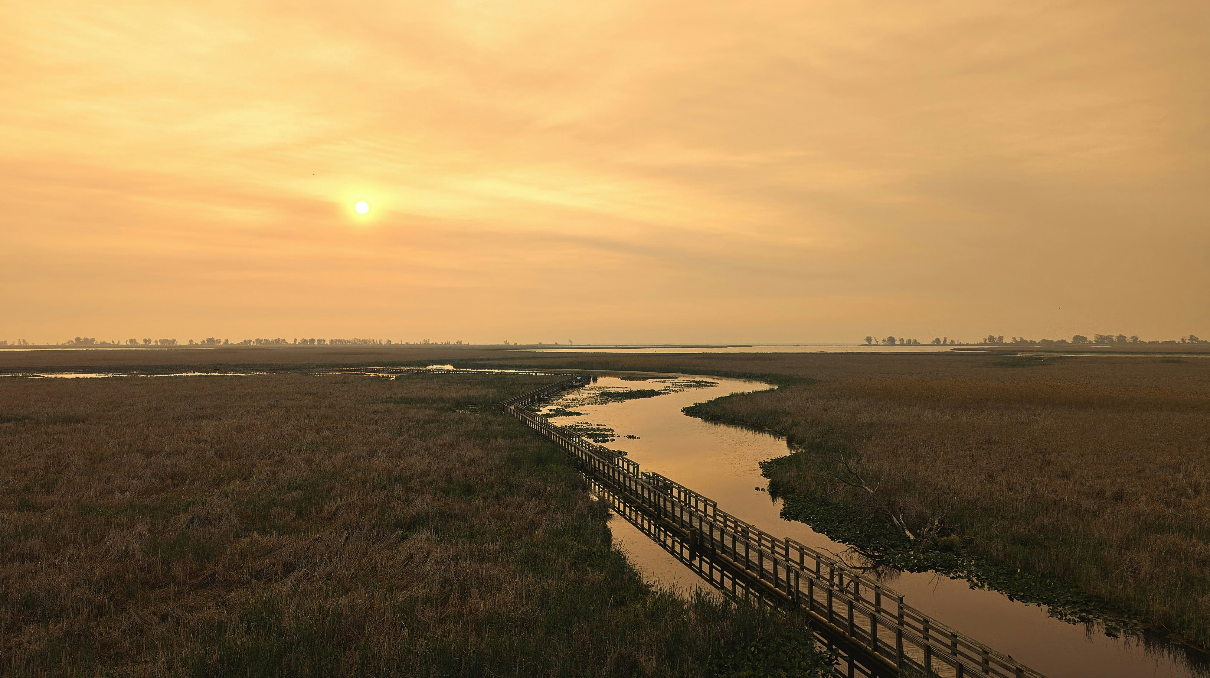 A wooden boardwalk stretches across vast marsh wetlands at golden hour.