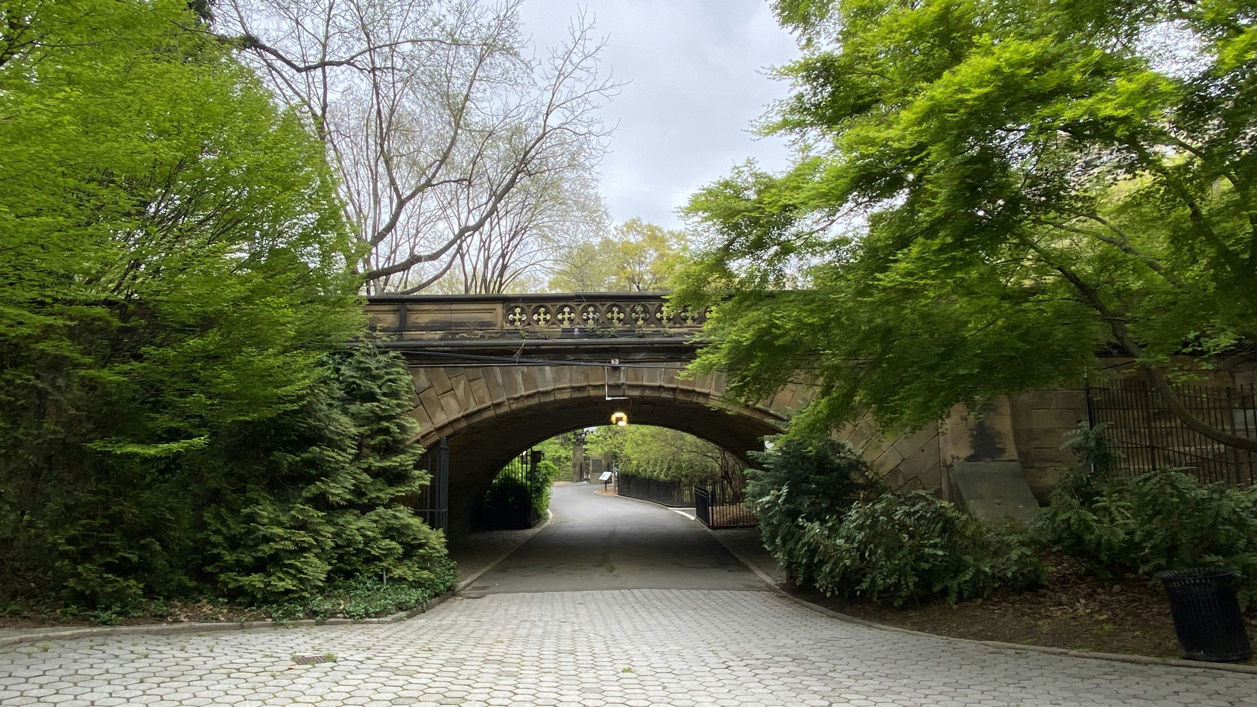 Stone Archway Under the Green Canopy