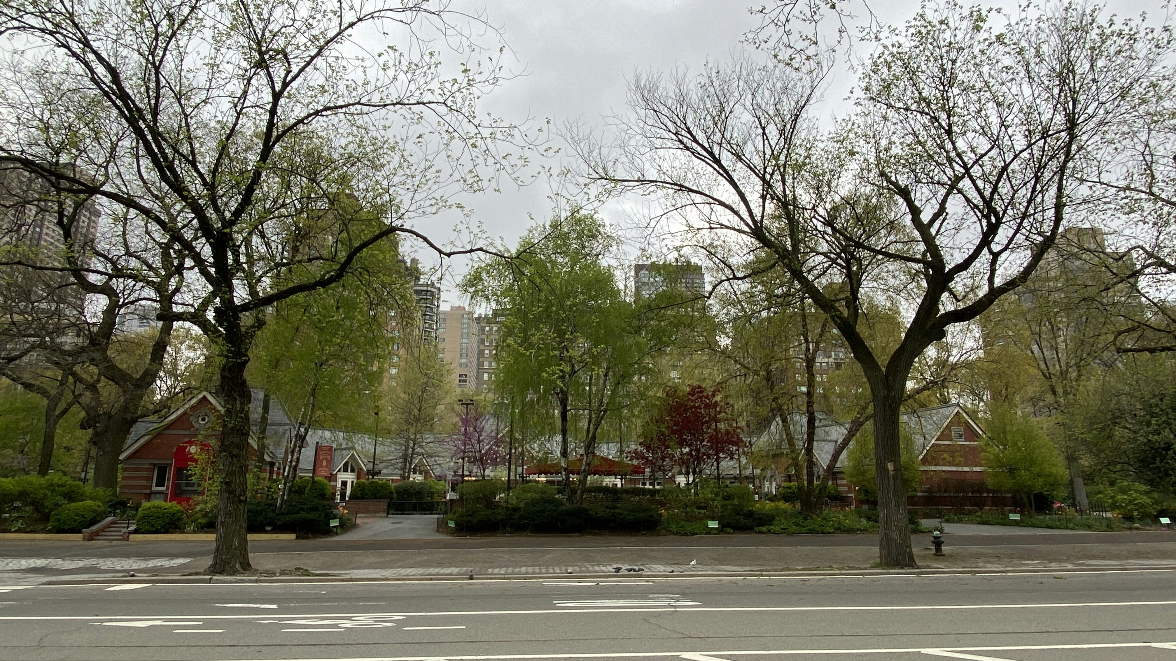 City Park Terrace: Trees Framing a Quiet Riverside Street