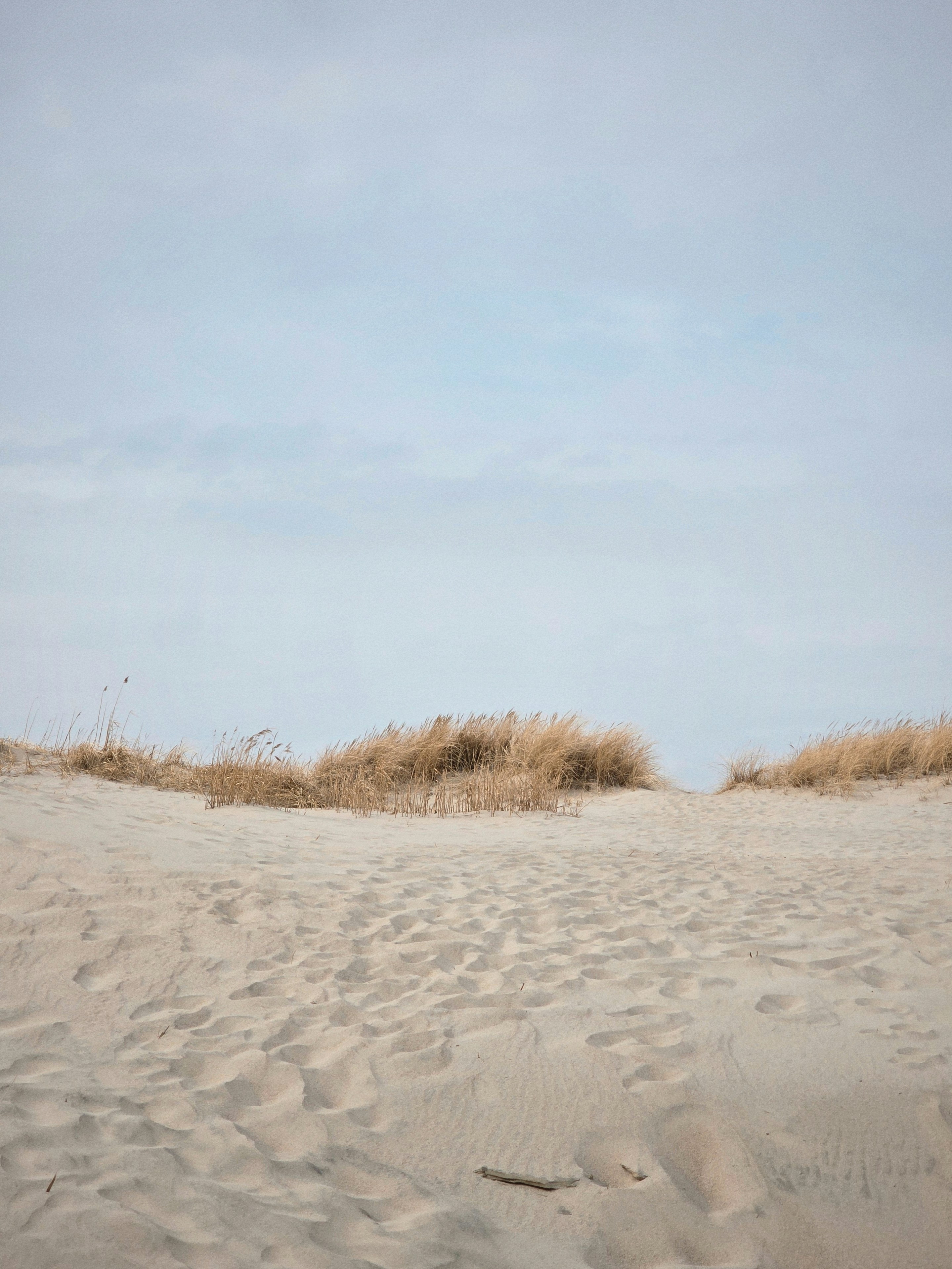 Dunes Whisper Across a Quiet Sea of Sand