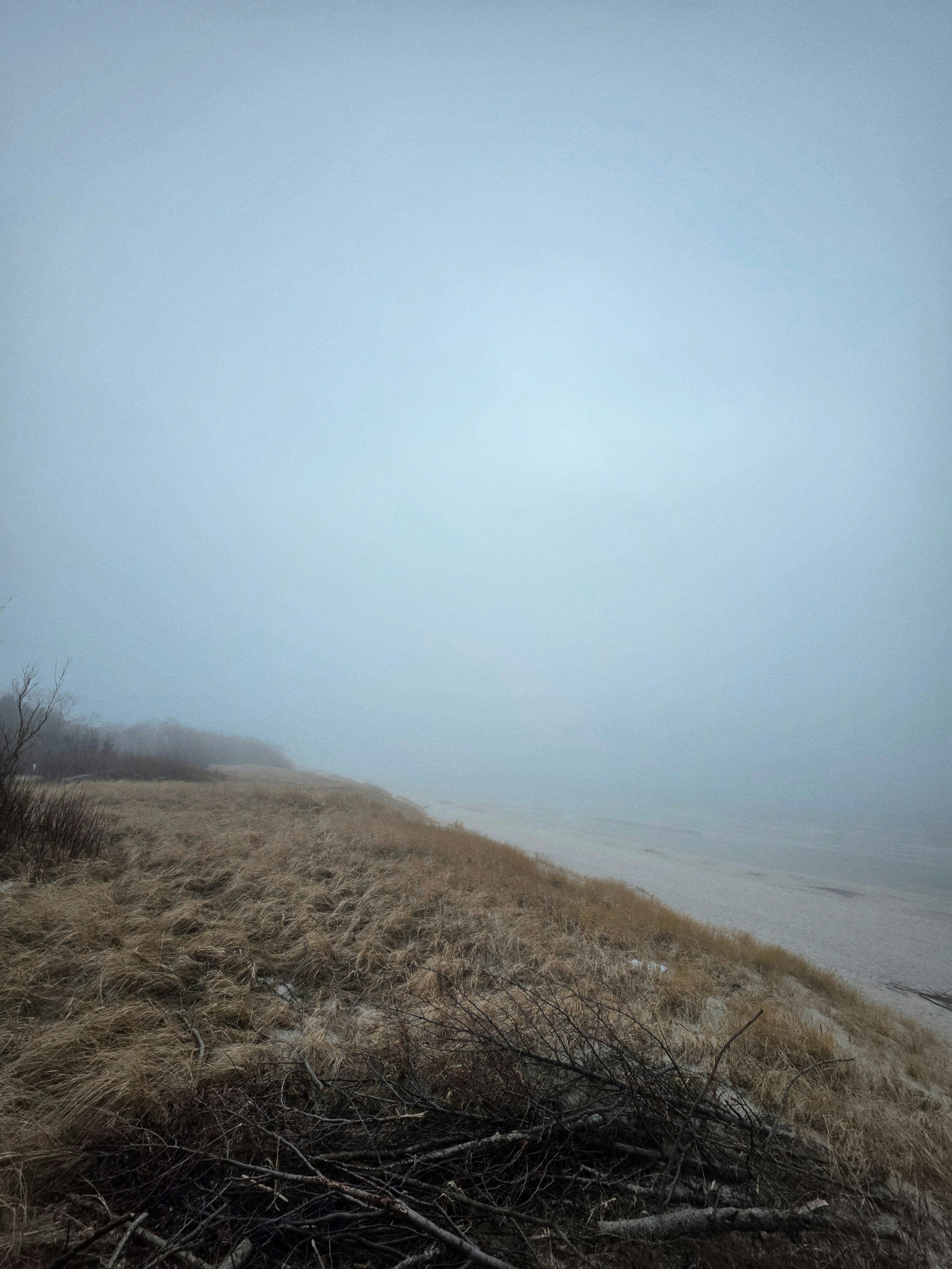 Horizon Veiled by Fog along a Quiet Dune Shore