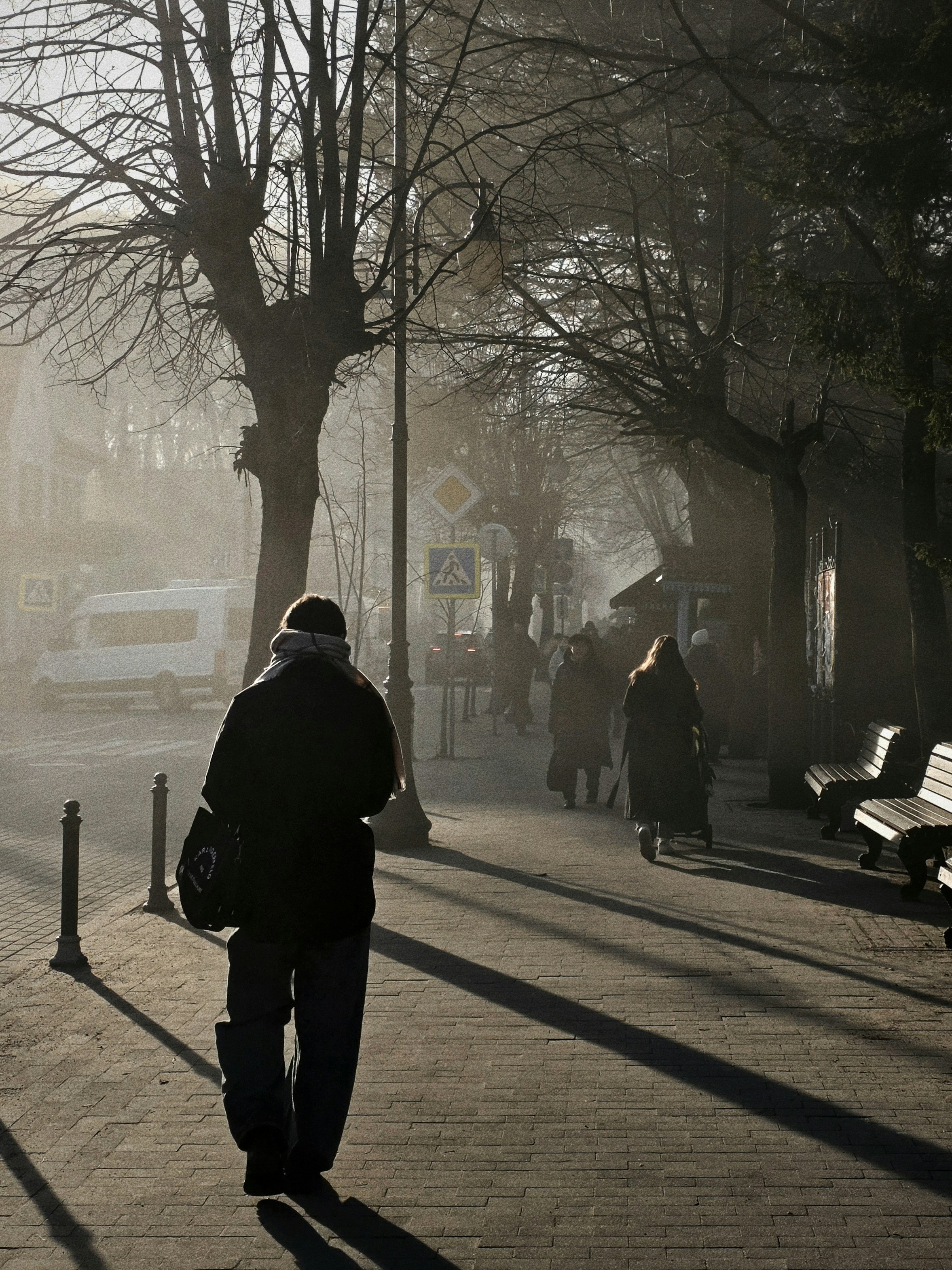 Shadowed Stride: A Quiet Street in Evening Mist