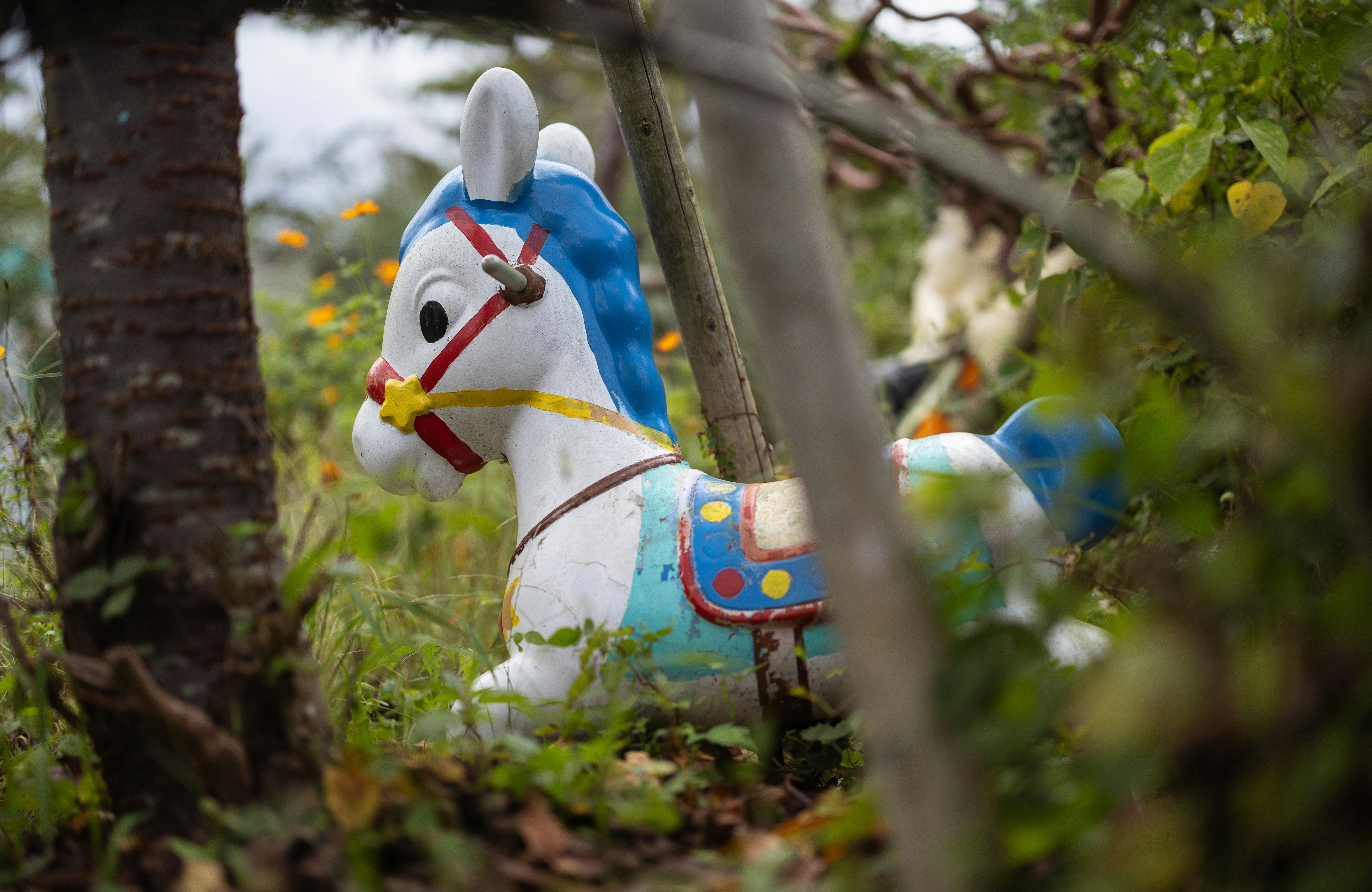 Forgotten Carousel Steed Resting Beneath the Green Canopy