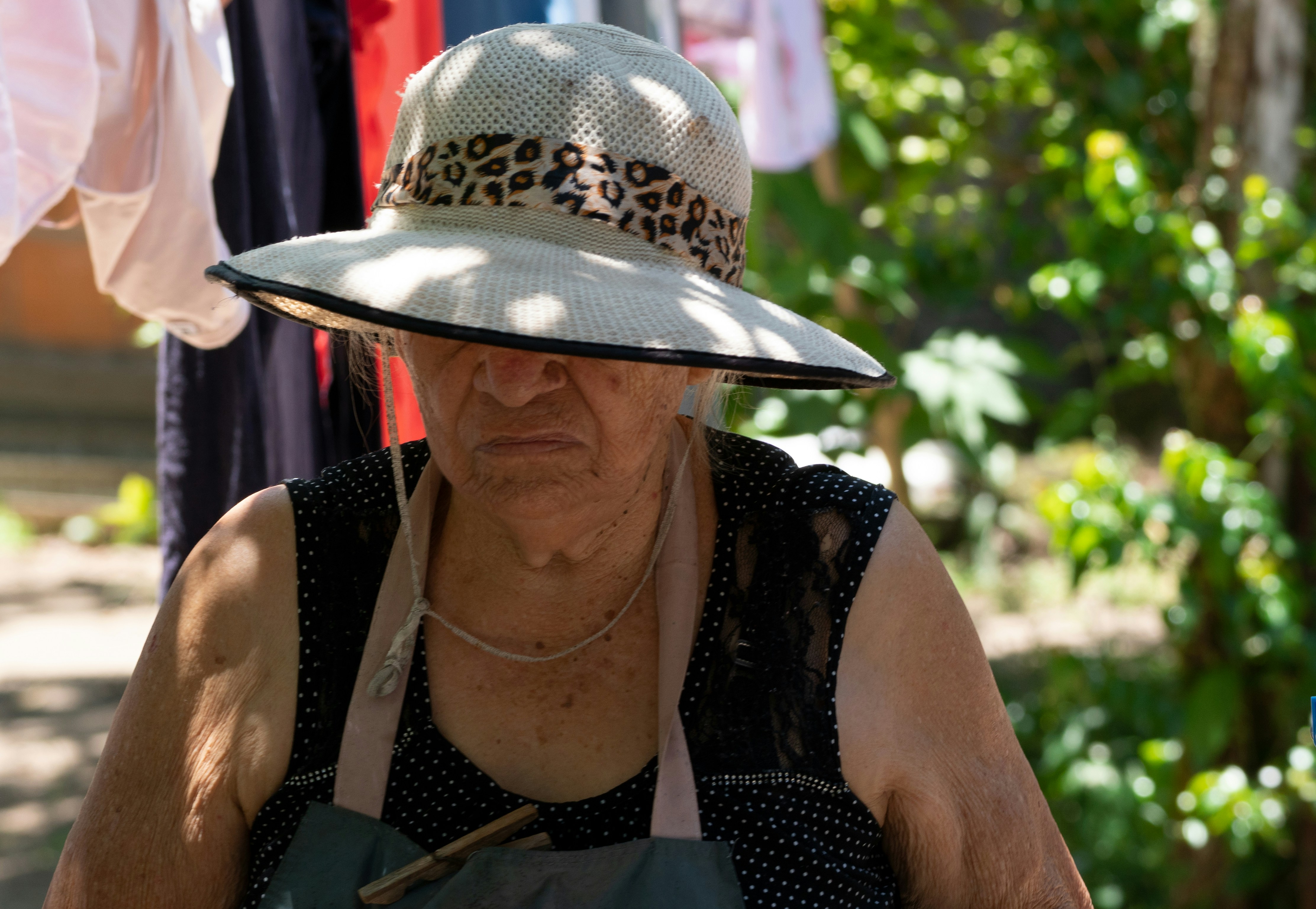 Sunlit Broad-Brimmed Hat Shadows an Elderly Gardener