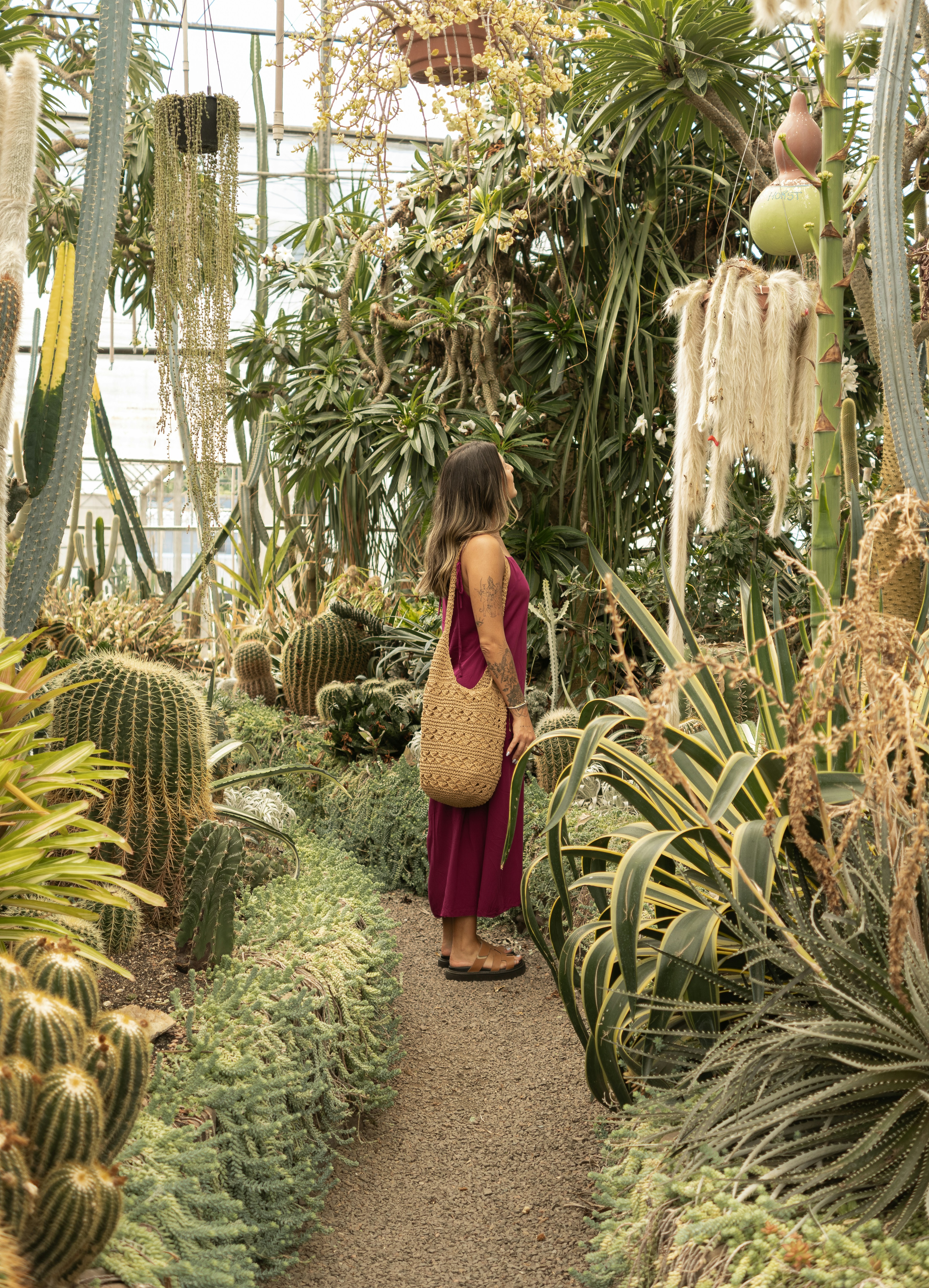 Woman in a Magenta Dress Stands Amid a Lush Succulent Conservatory
