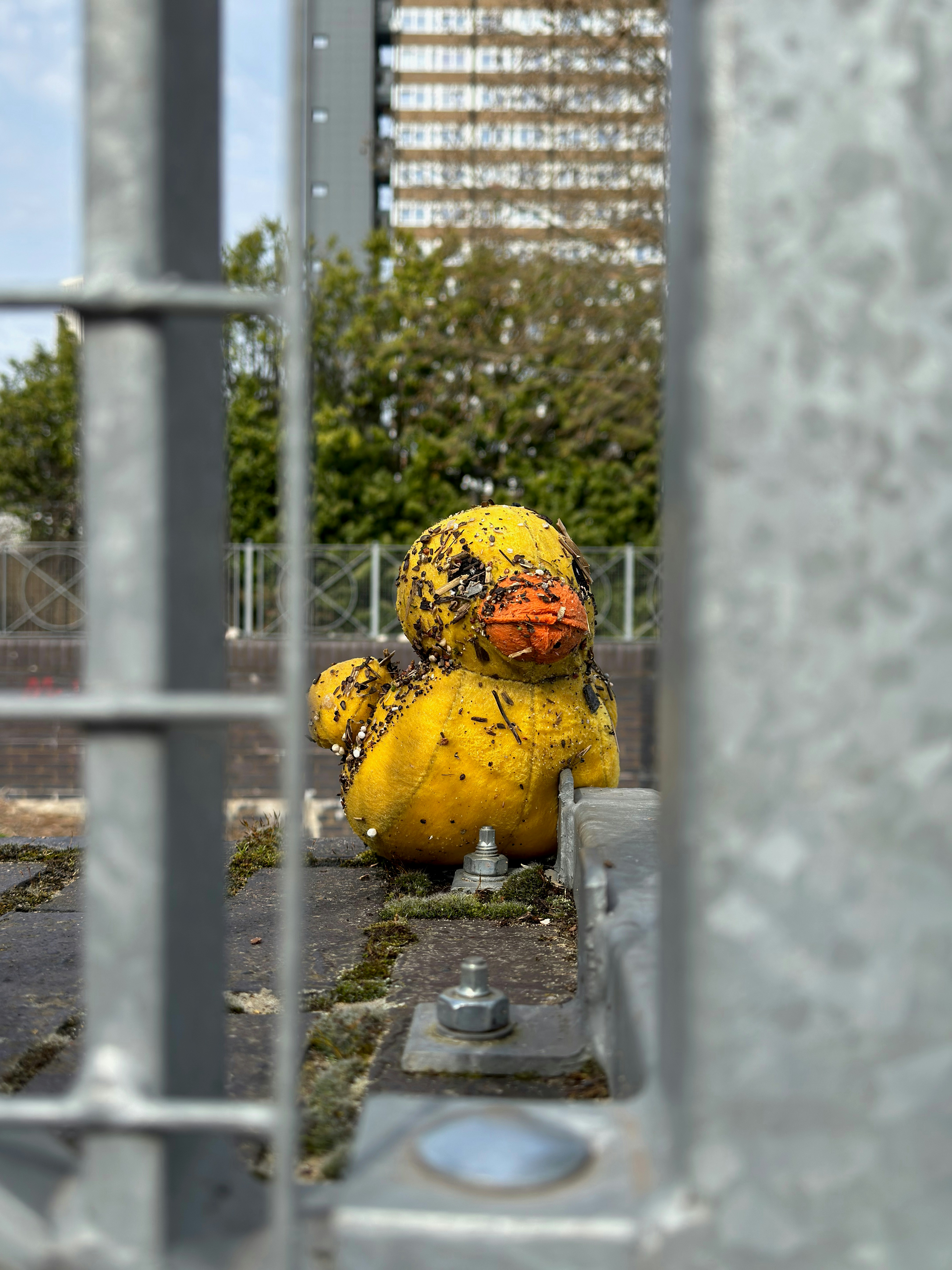 Yellow Rubber Duck Surrounded by Urban Elements