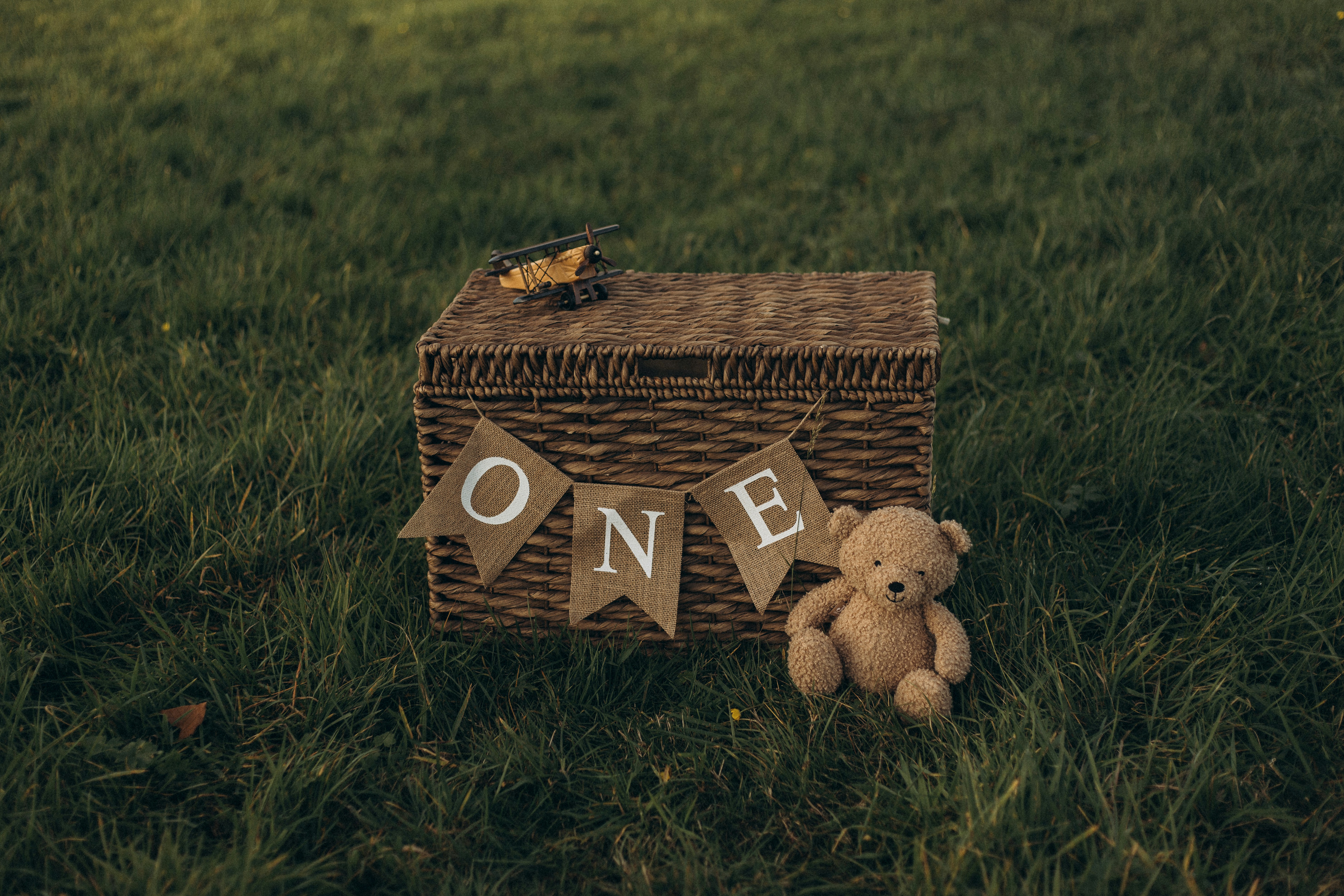 One for Wonder: A Wicker Basket with a Plush Companion