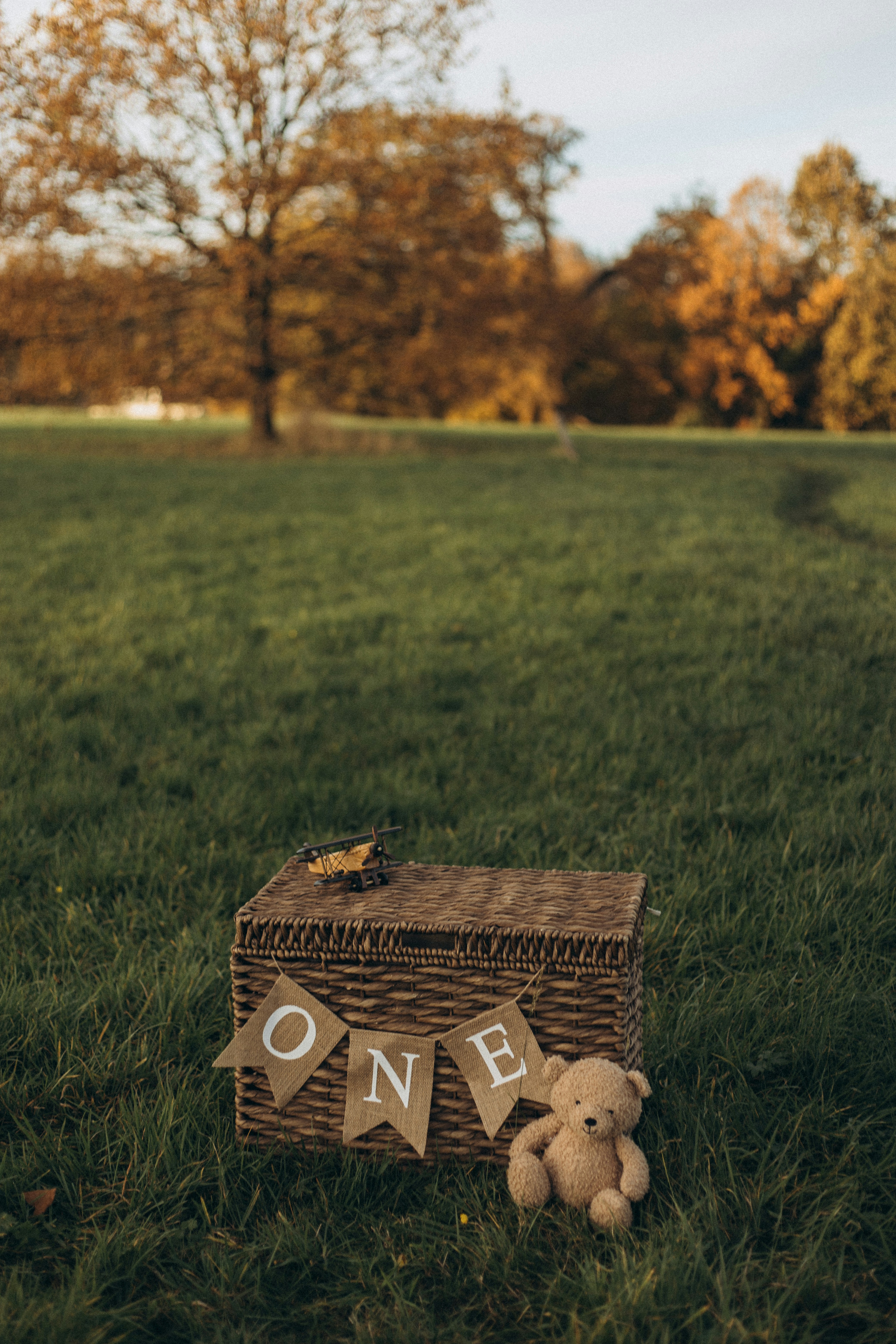 Autumn Picnic: A Wicker Box and Plush Bear on Quiet Grass