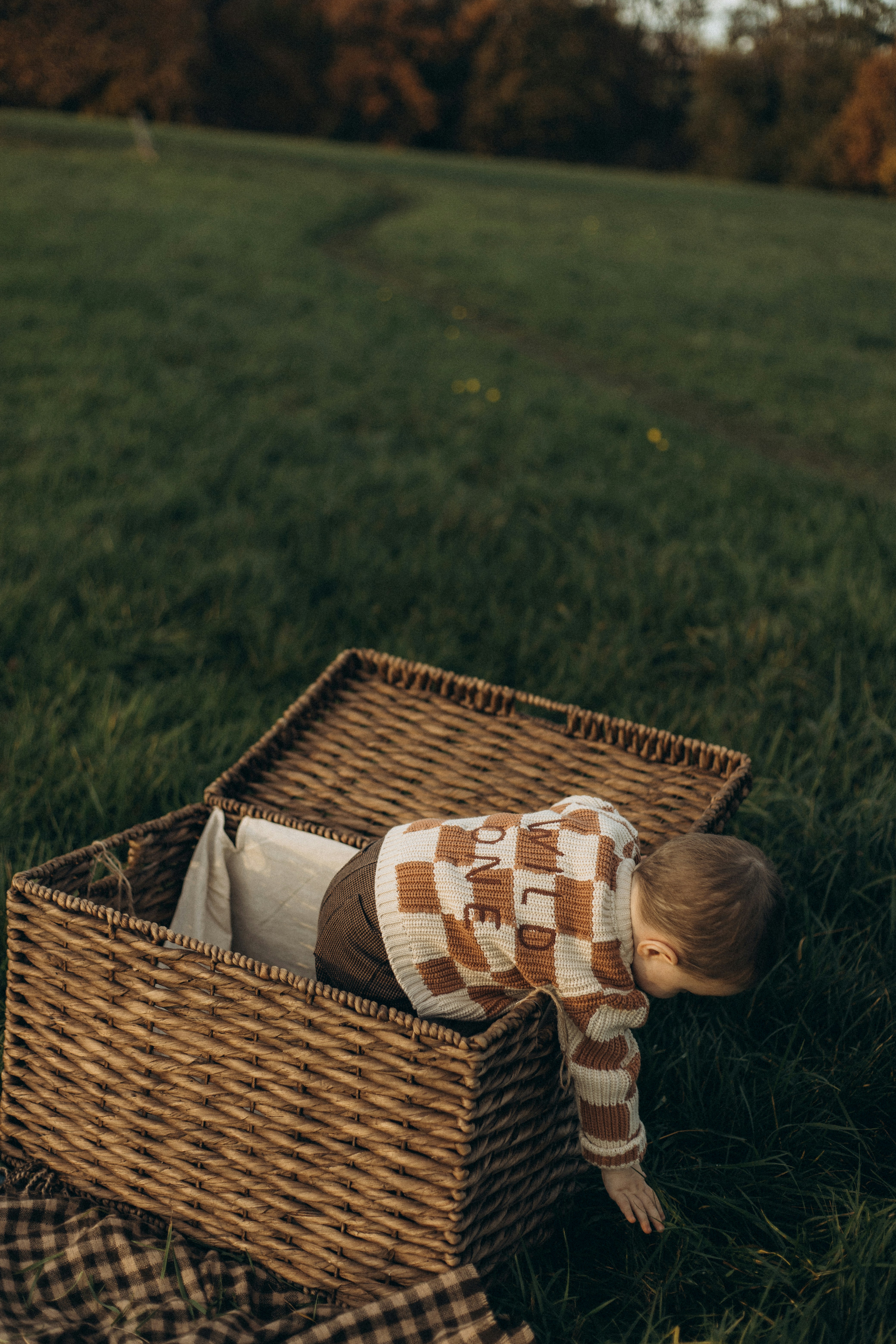 Nestled in a Wicker Seat: A Child's Quiet Exploration at Golden Hour