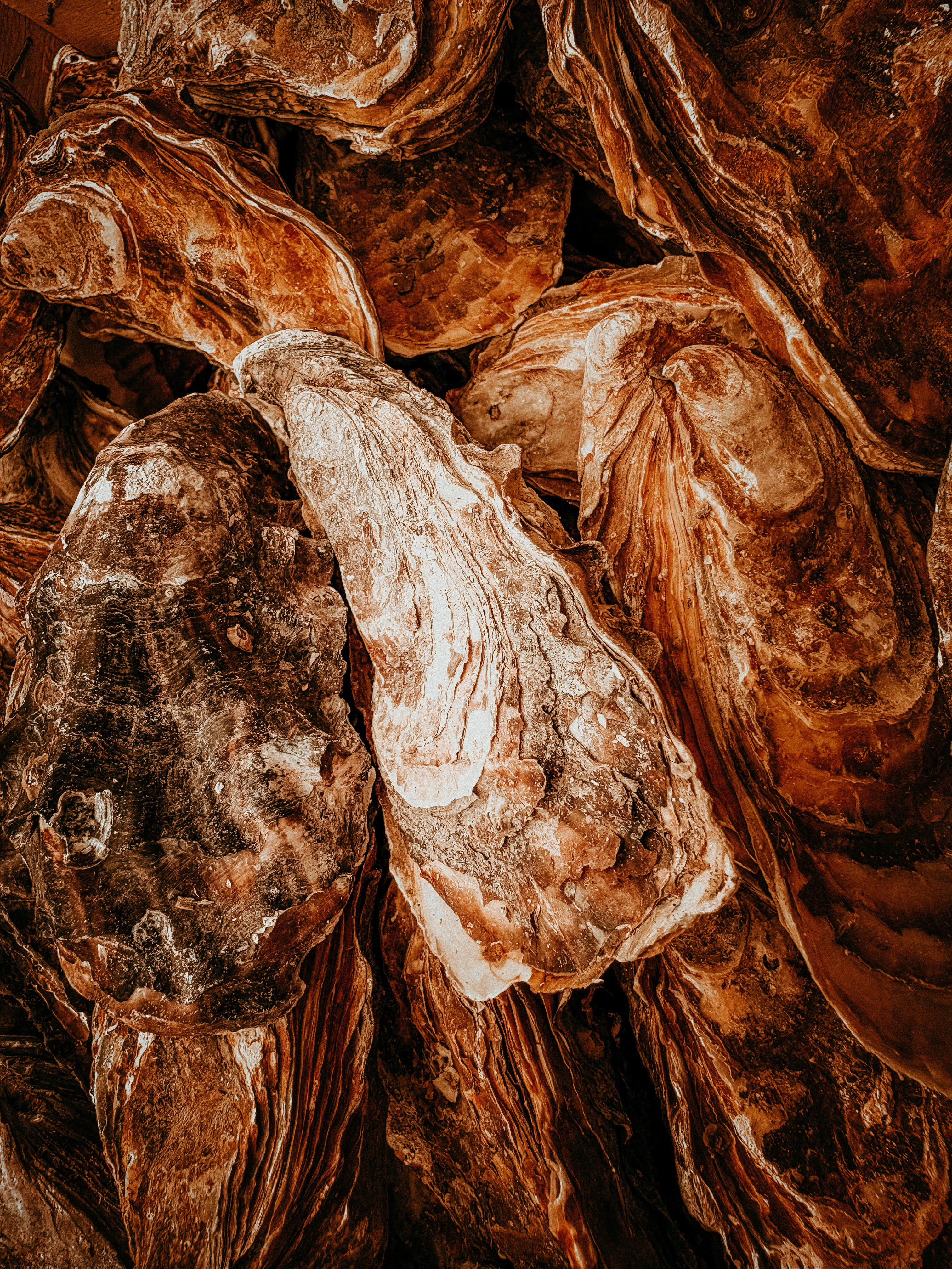 Rust-Scarred Rocky Carvings: A Study in Textures and Earth Tones