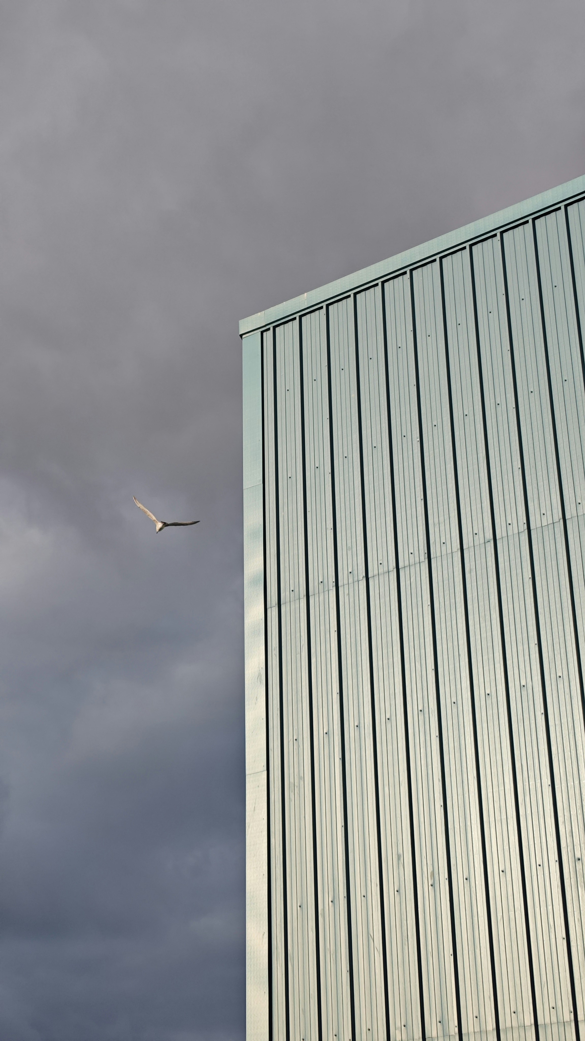 Edge of Modernity: Silver Facade Against a Looming Sky