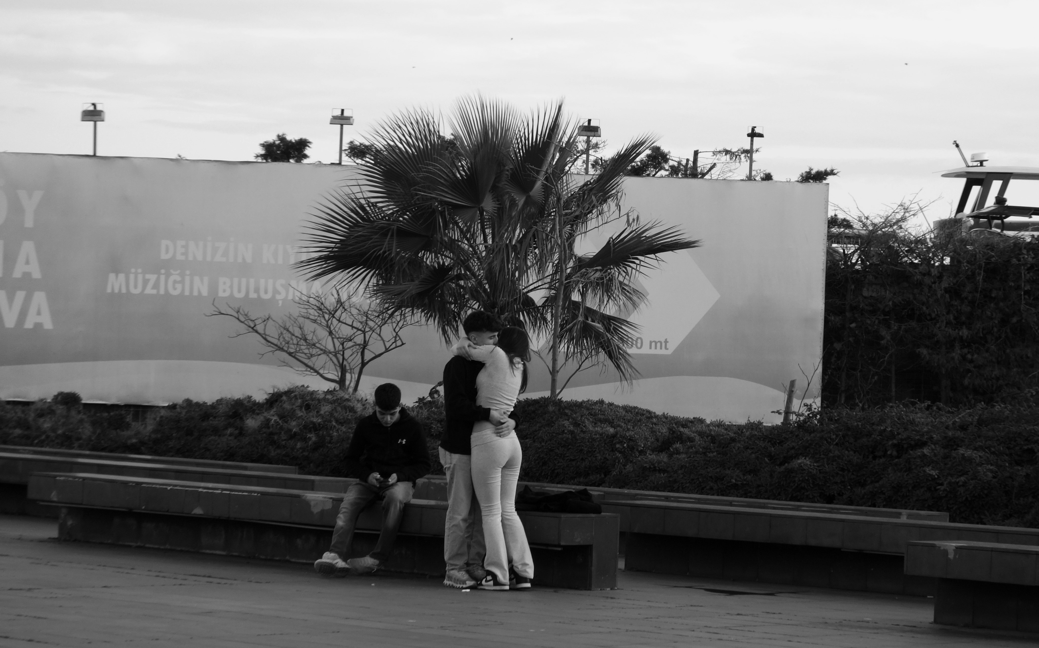 Two figures embrace near a shaded palm with a lone admirer nearby