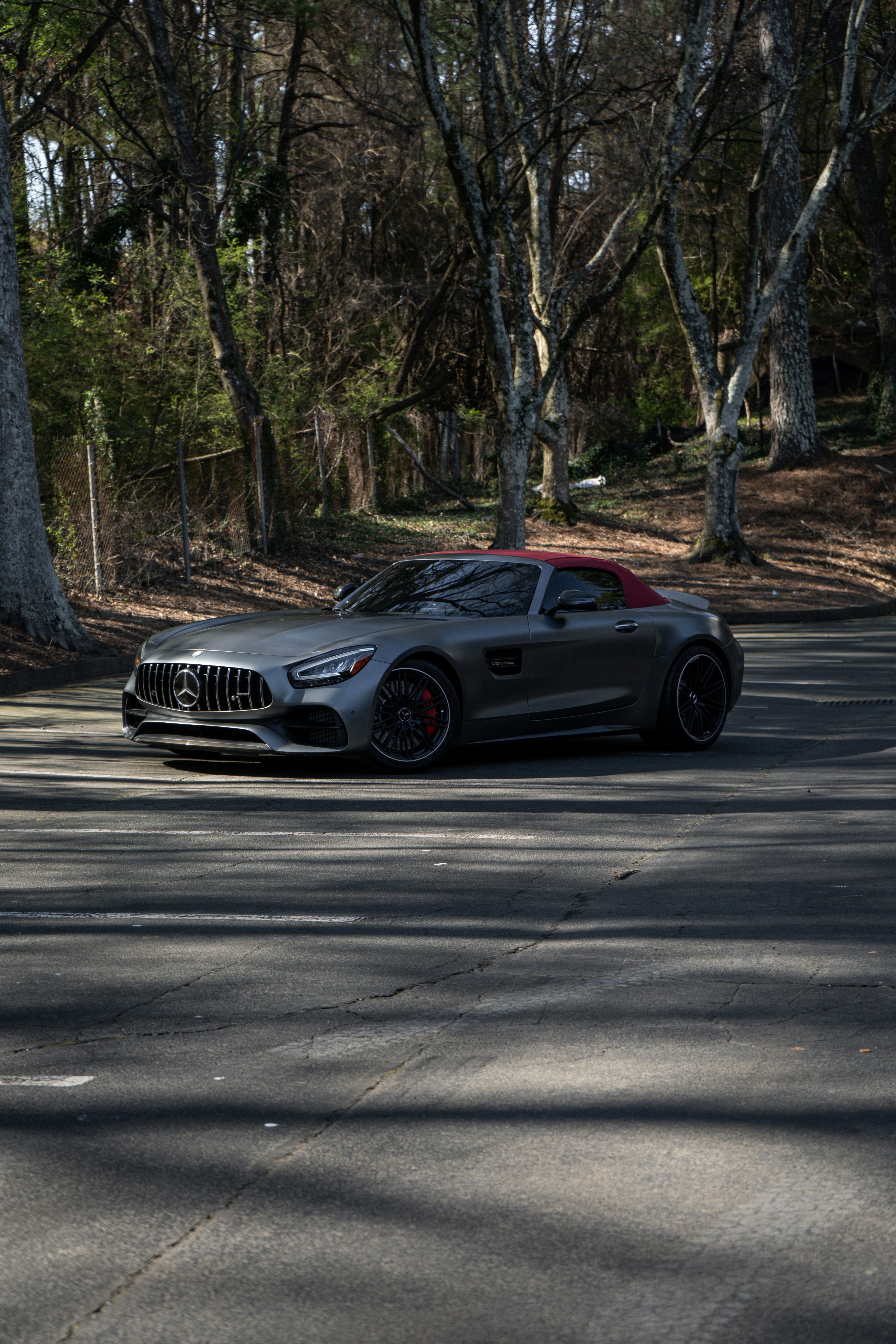 Mercedes-AMG Roadster in Dappled Park Light