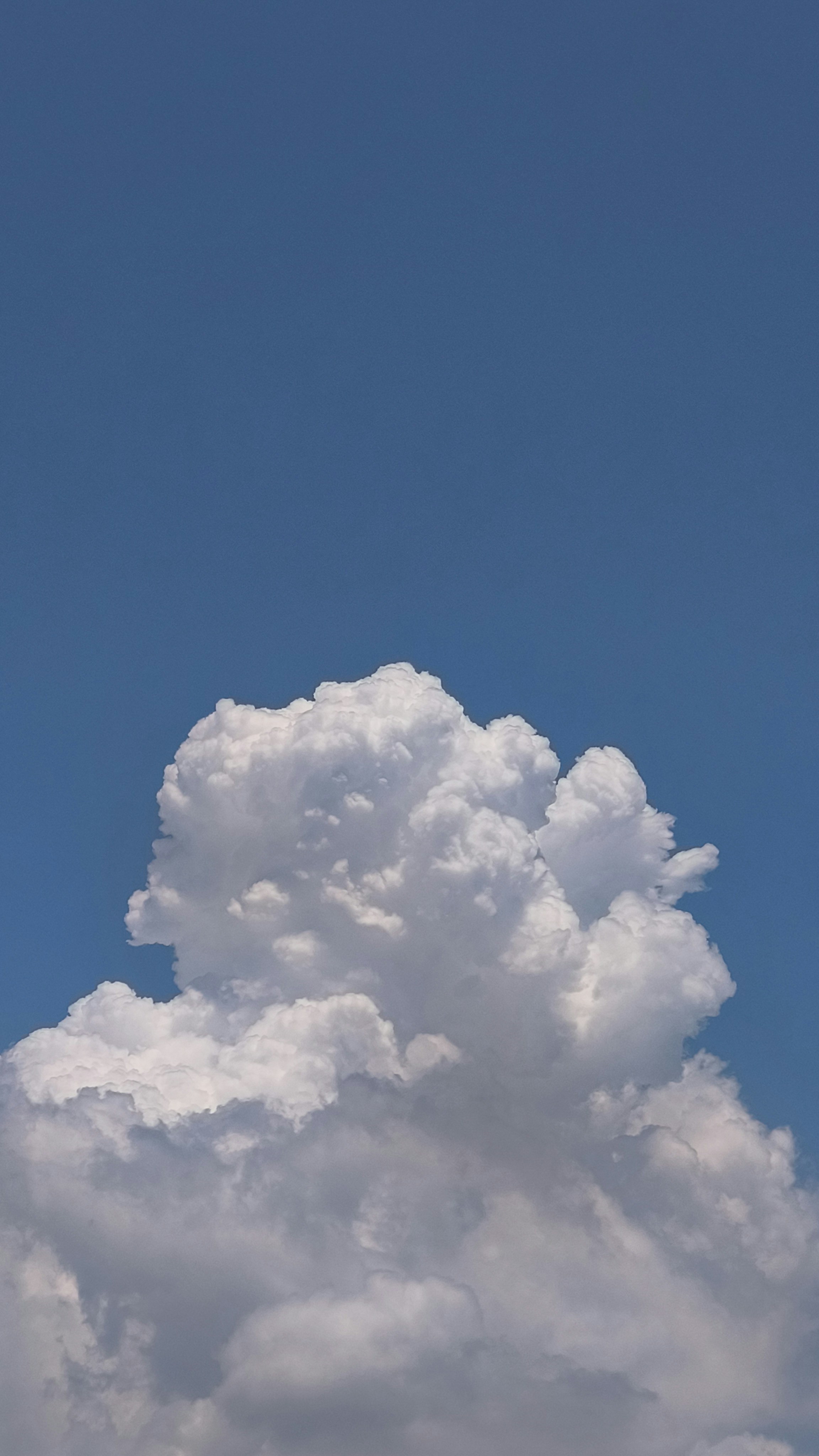 Cloud Monument: Vertical Portrait of a Blue Sky and Towering Cloud