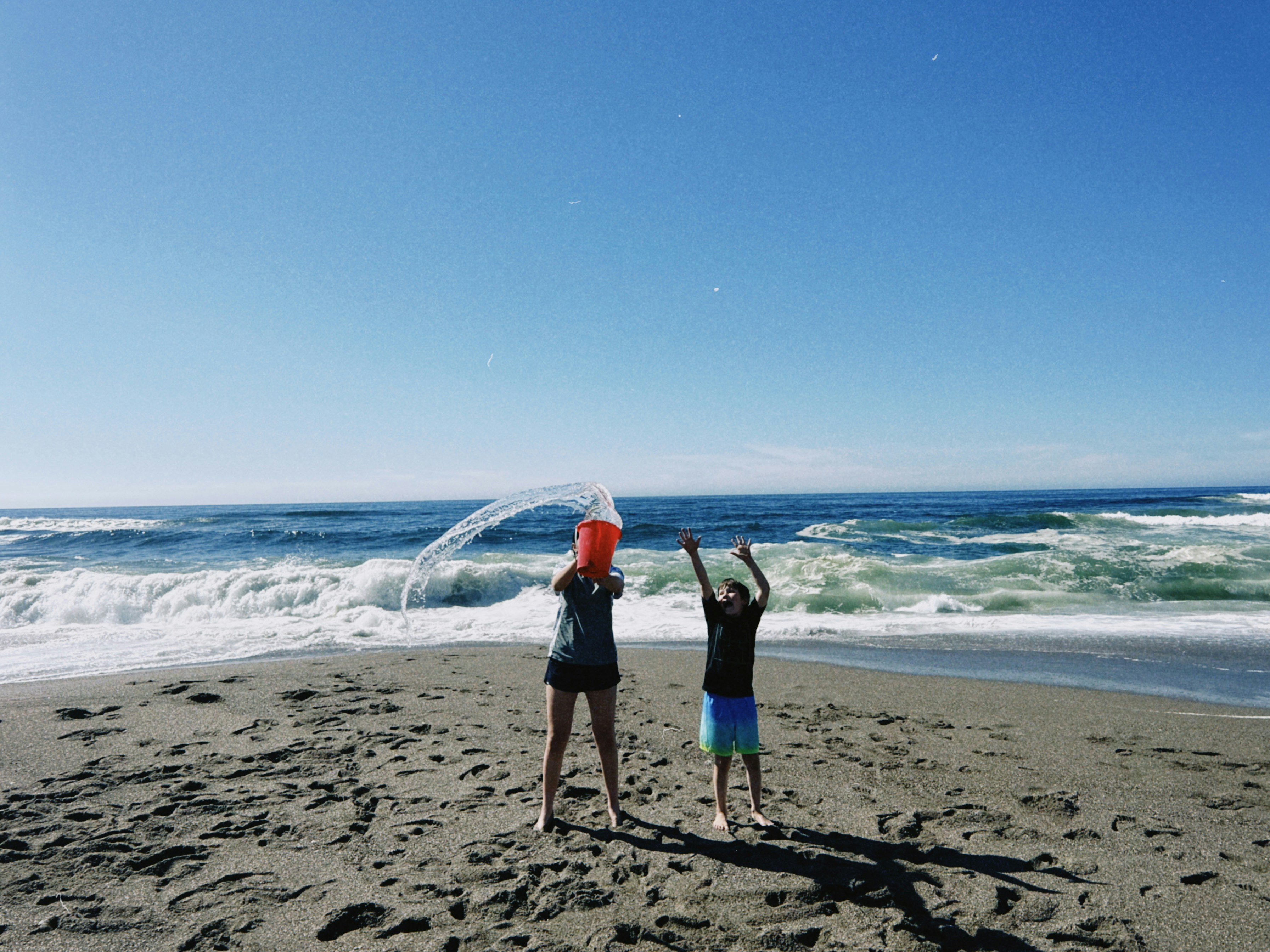 Coastal Play: A Splash of Joy on the Shore