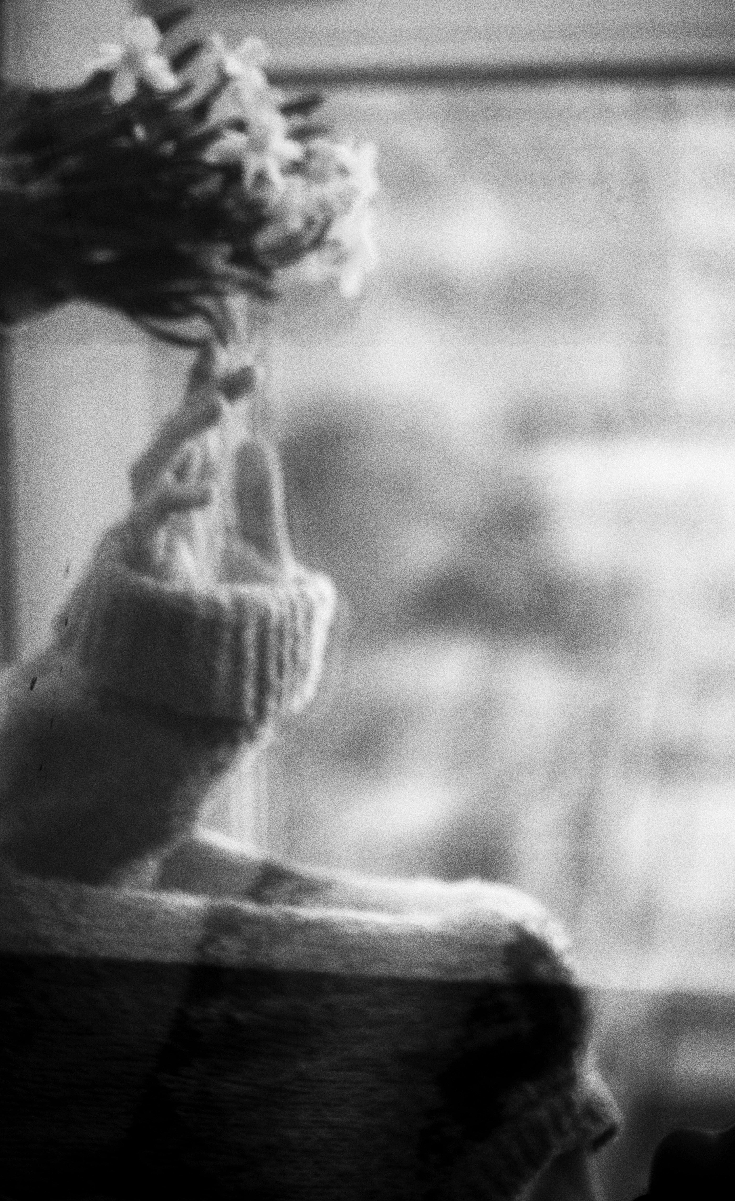 Whispered Bouquet: A Glimpse Through Frosted Glass
