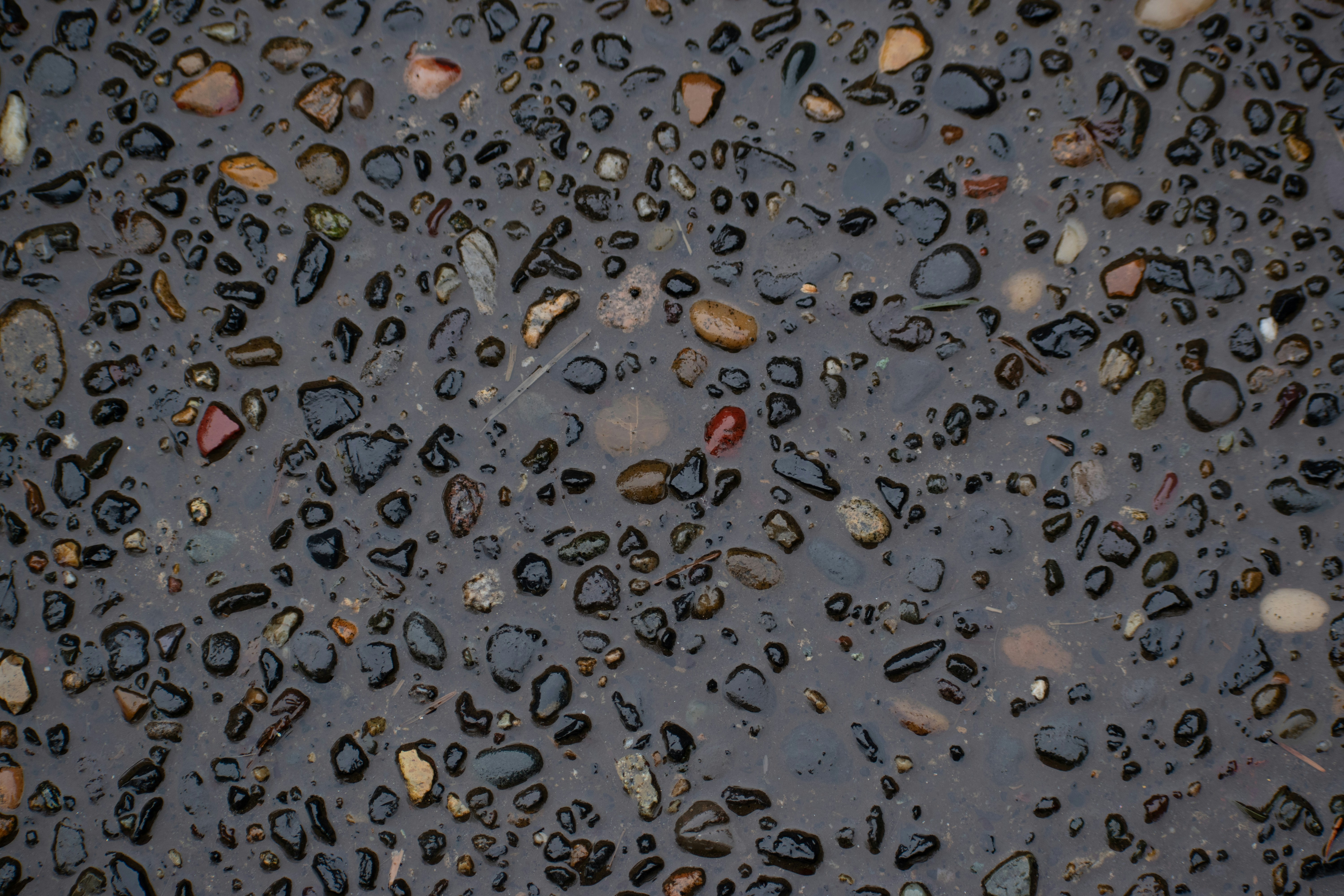 Pebble Mosaic Under Wet Concrete