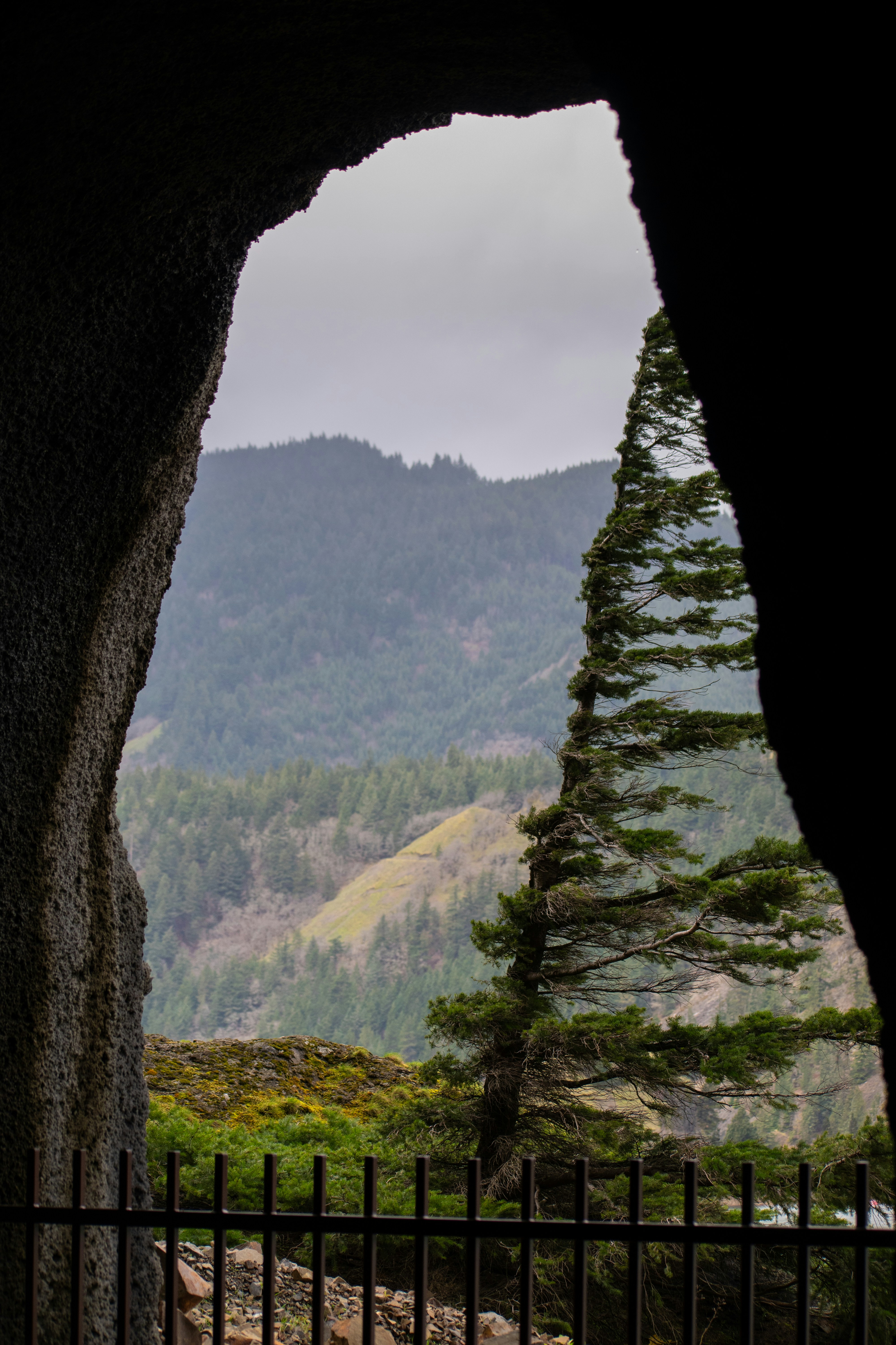 Cavern Window to the Peaks: A Lone Tree Against Alpine Slopes