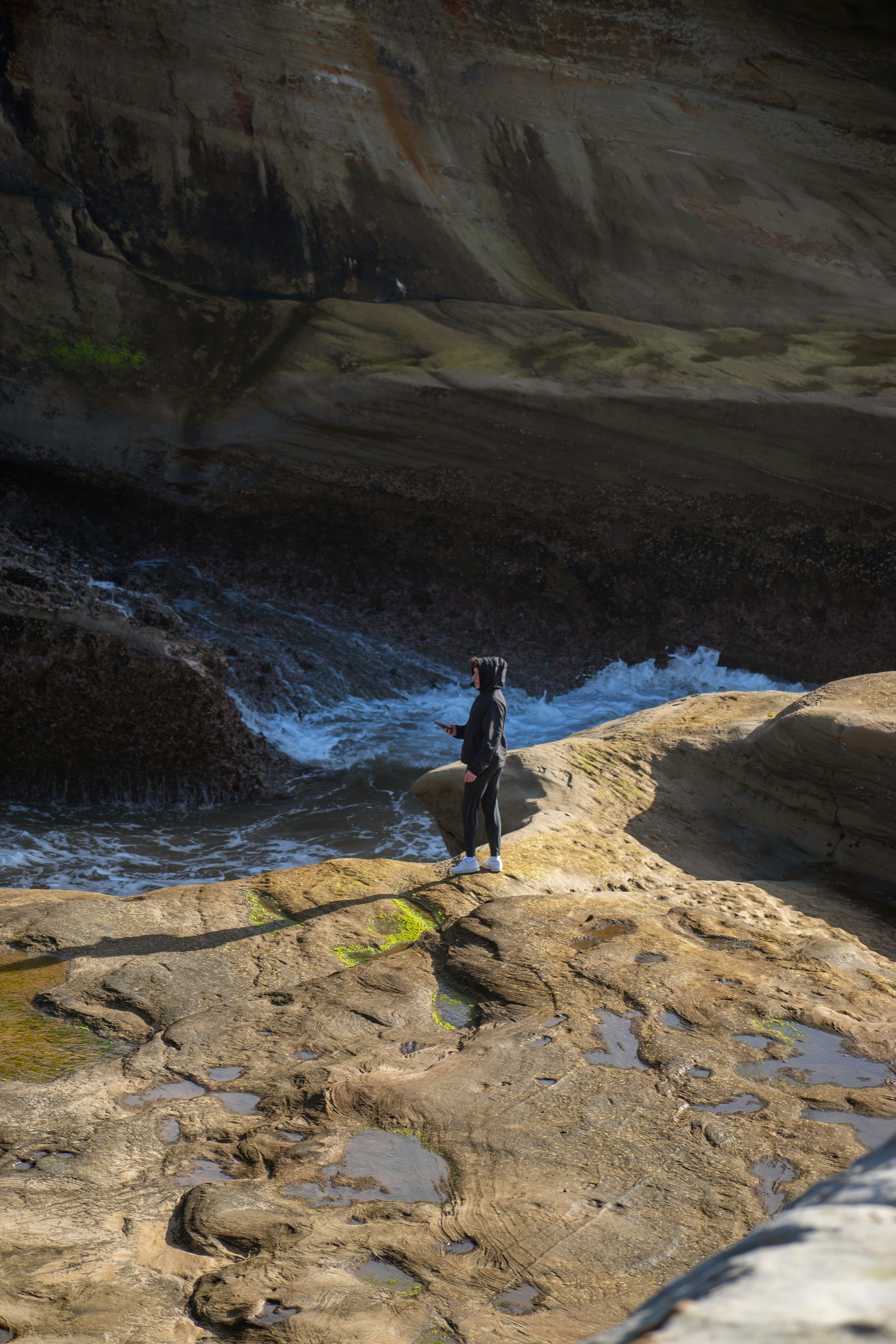 Solitary Explorer on Weathered Coastal Rock