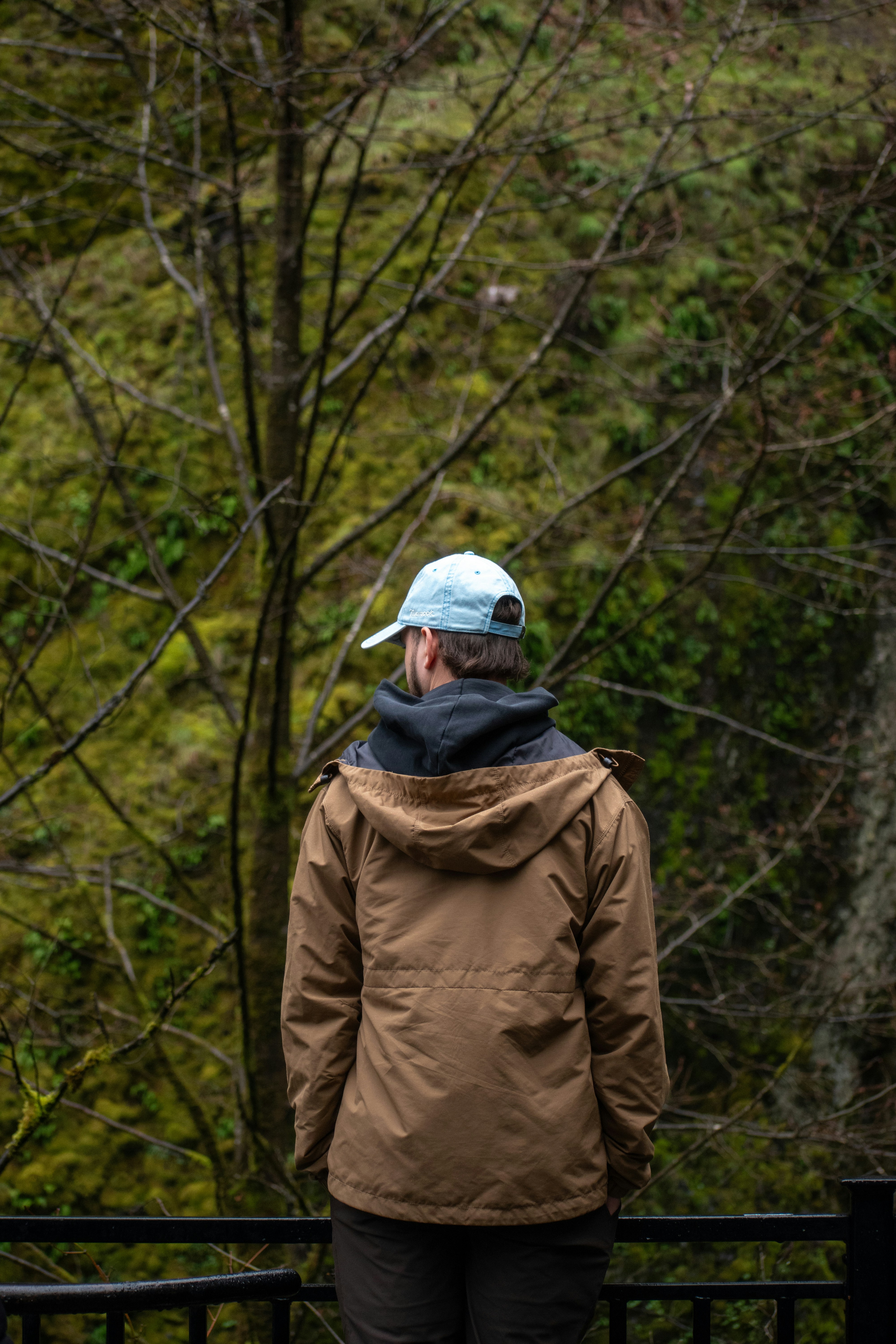 Backlit Explorer in Mossy Forest