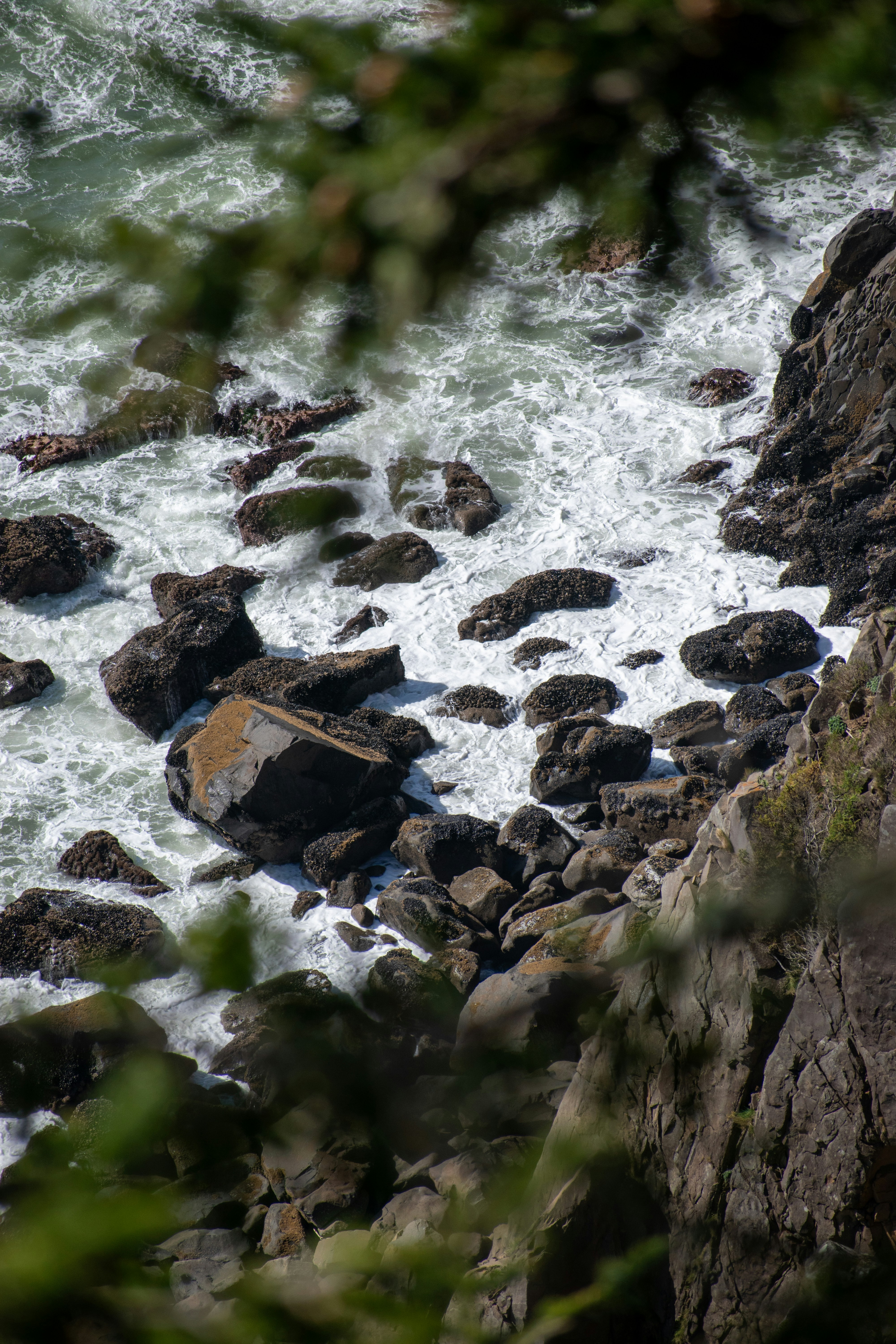 Waves crash against rocky shore with blurred foreground foliage