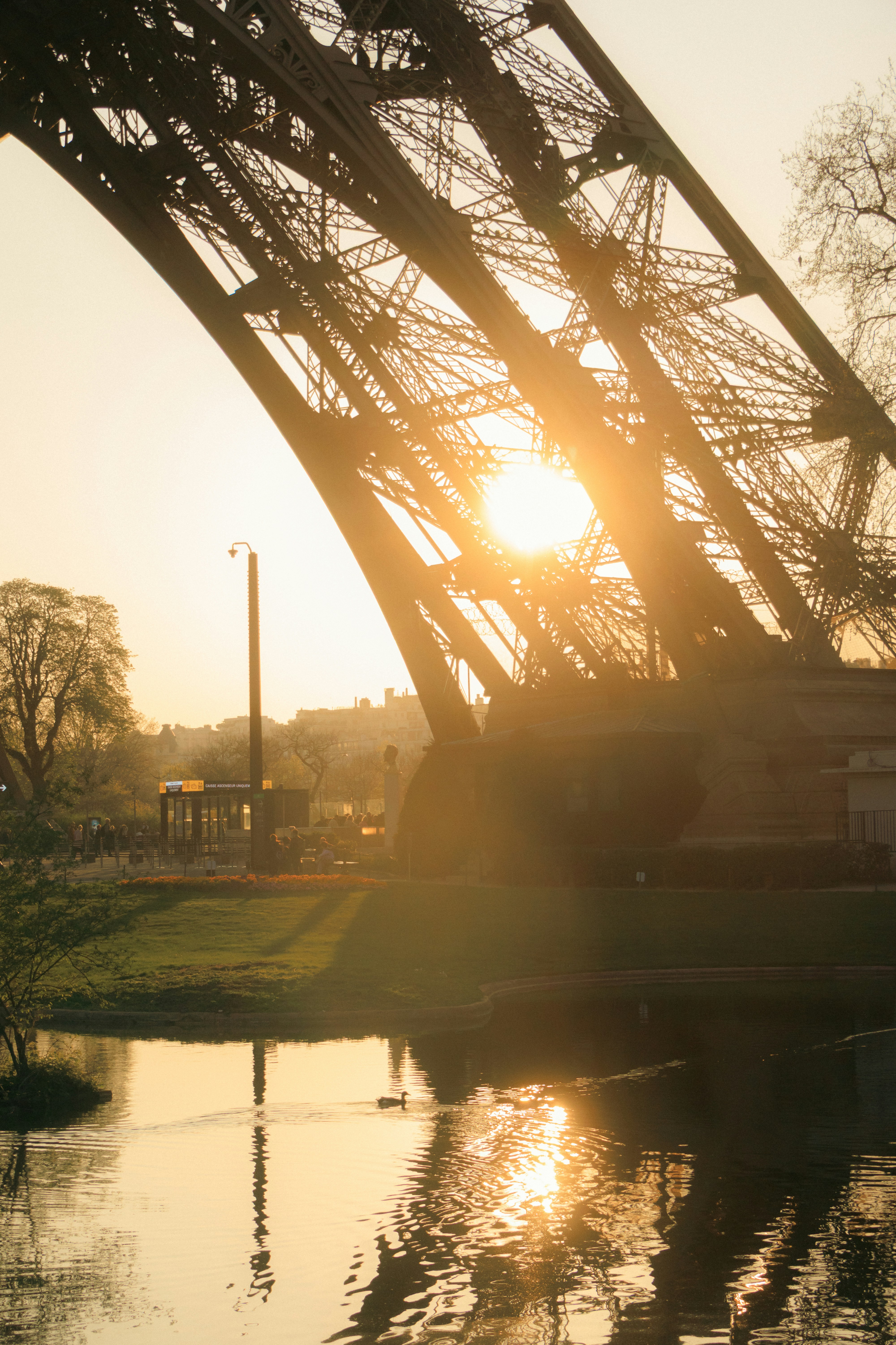 Sunlit Arc: The Iron Lace of a Parisian Dawn