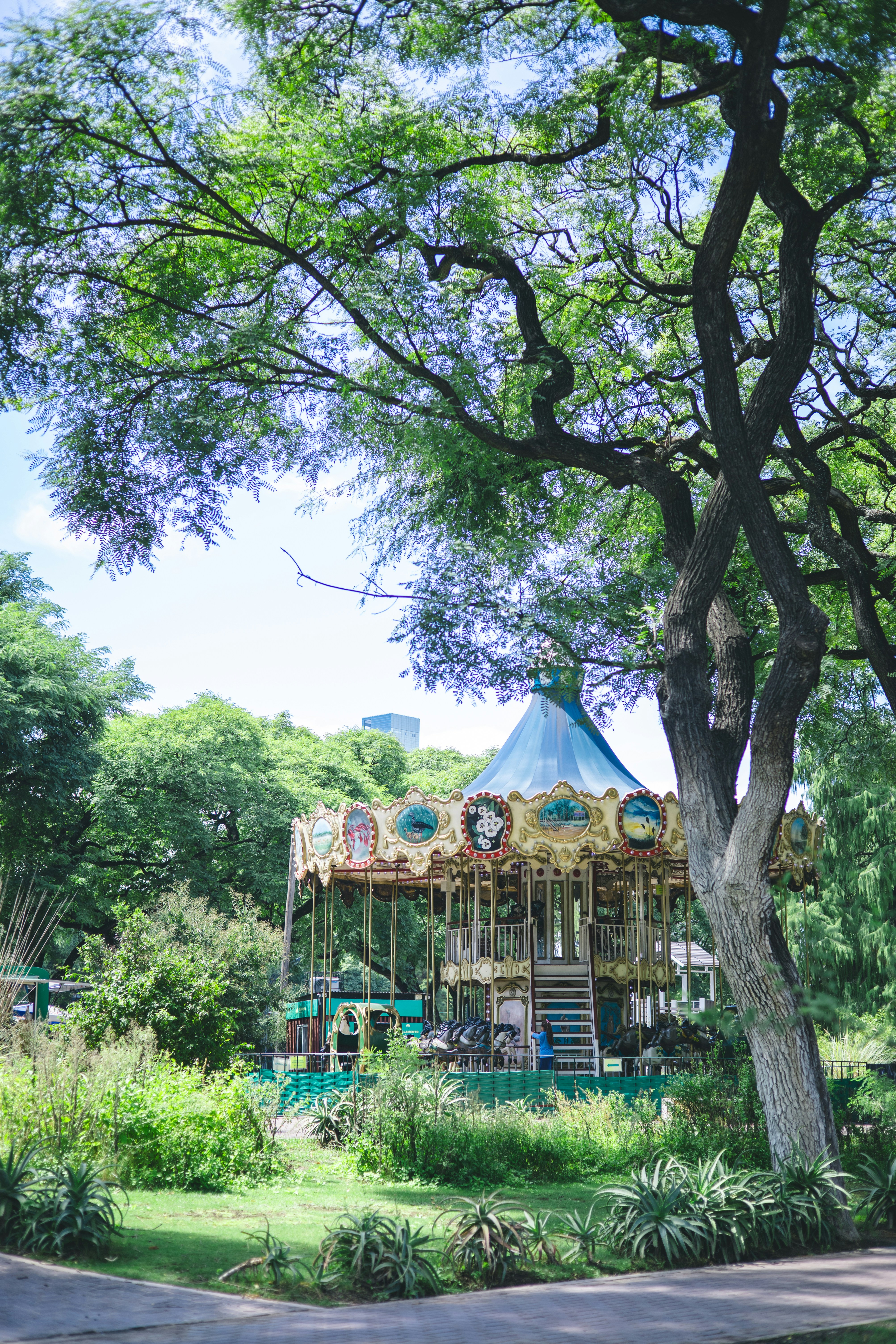 Carousel Beneath the Canopy: A Quiet Park Scene