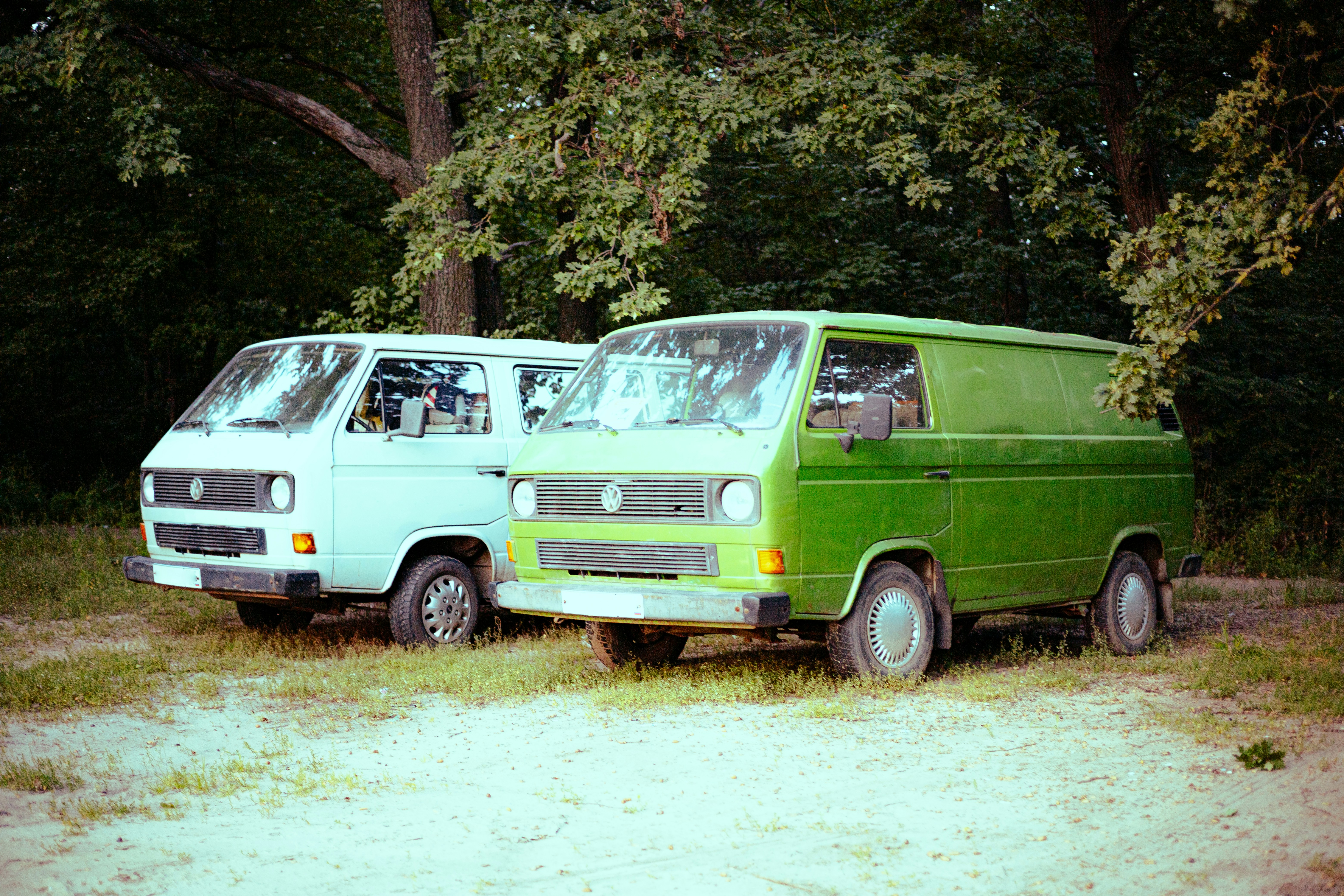 Two vintage vans resting under a leafy canopy