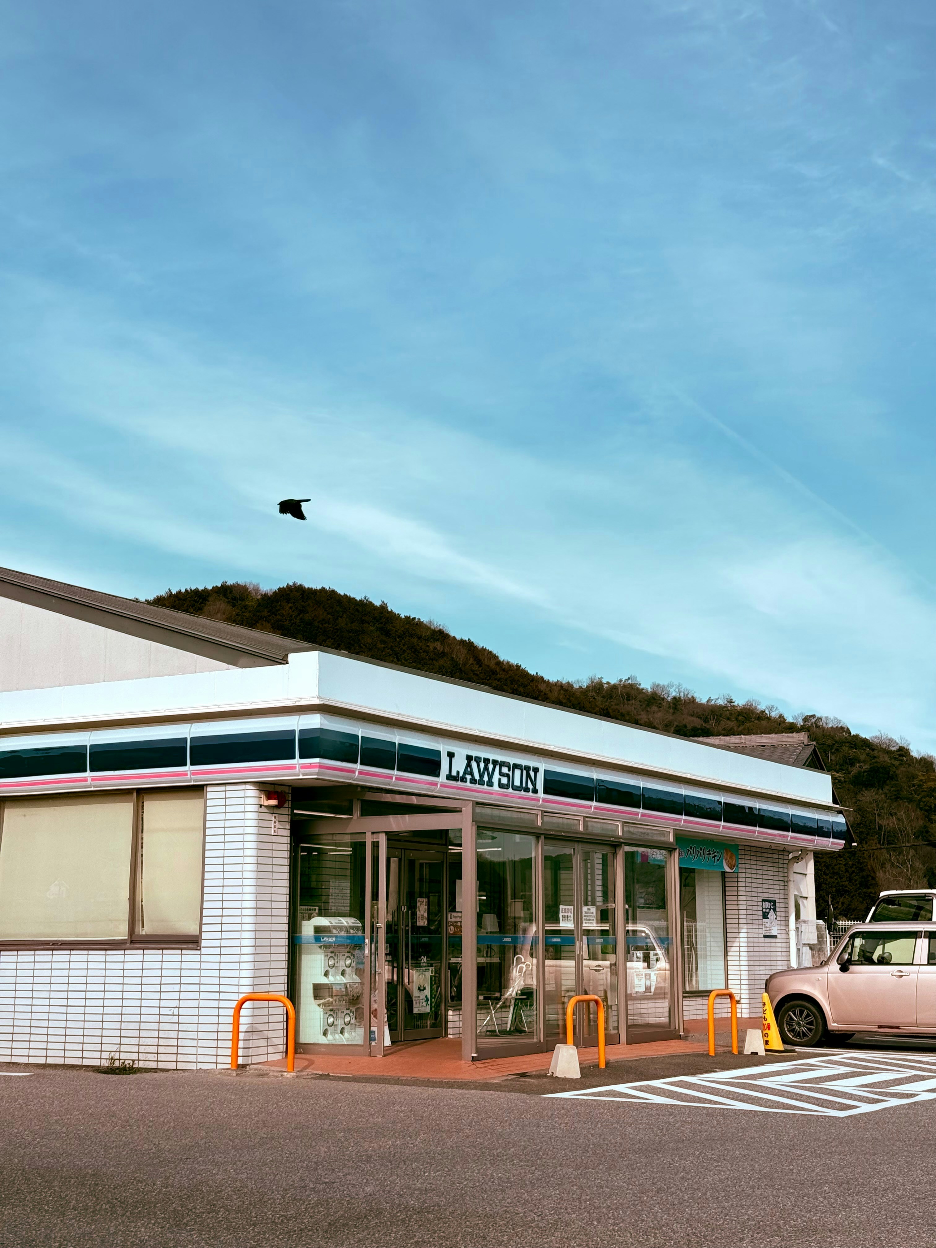 Lawson Terrace Under a Clear Blue: A Quiet Shopfront with a Soaring Bird