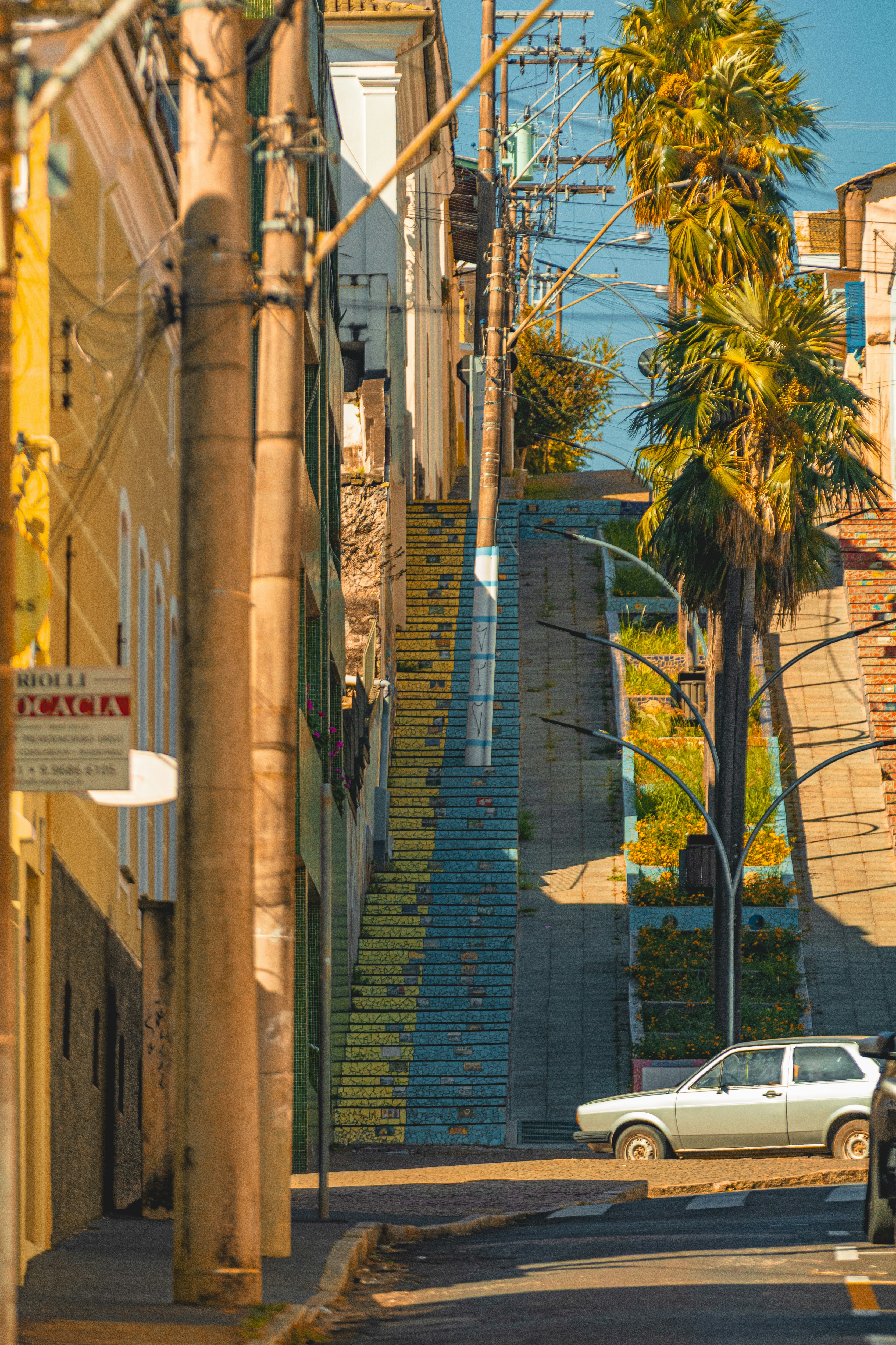 Sunlit Steps: Urban Stairway Toward a Palm-Shaded Sky