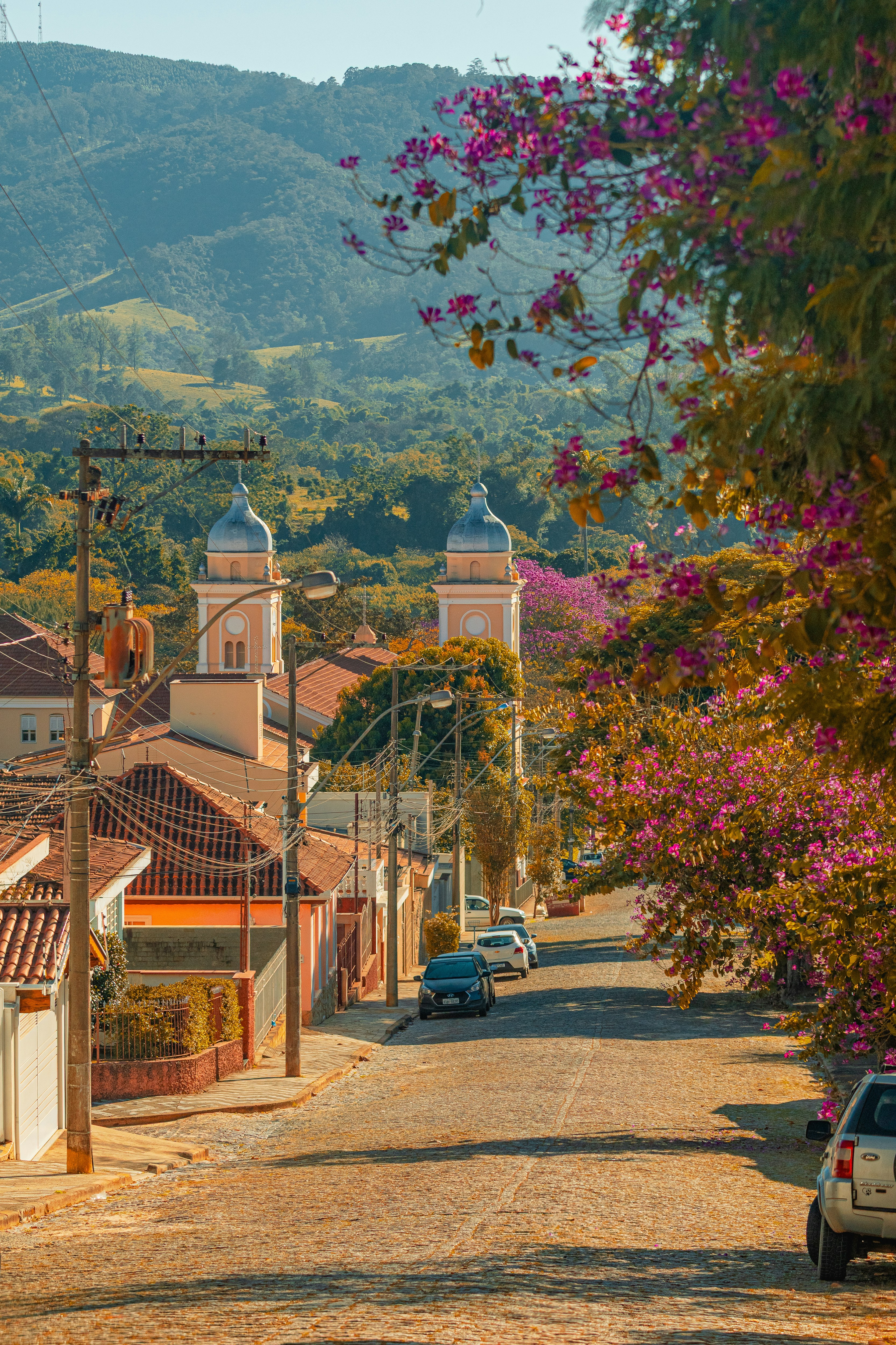 Bougainvillea Arc Over a Quiet Street Toward the Church Towers