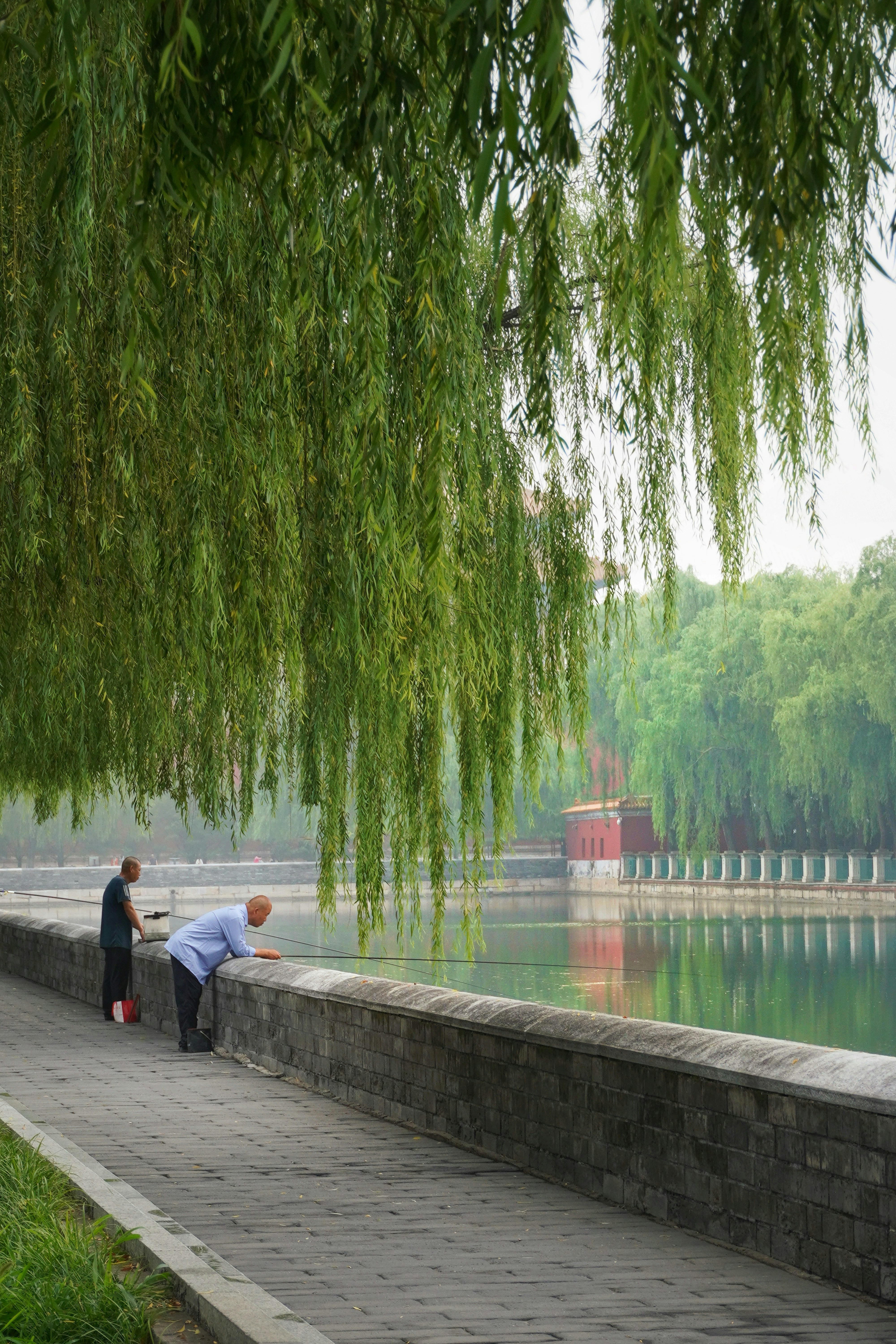 Riverside Silhouette: Gentlemen by the Wall Under Weeping Willows