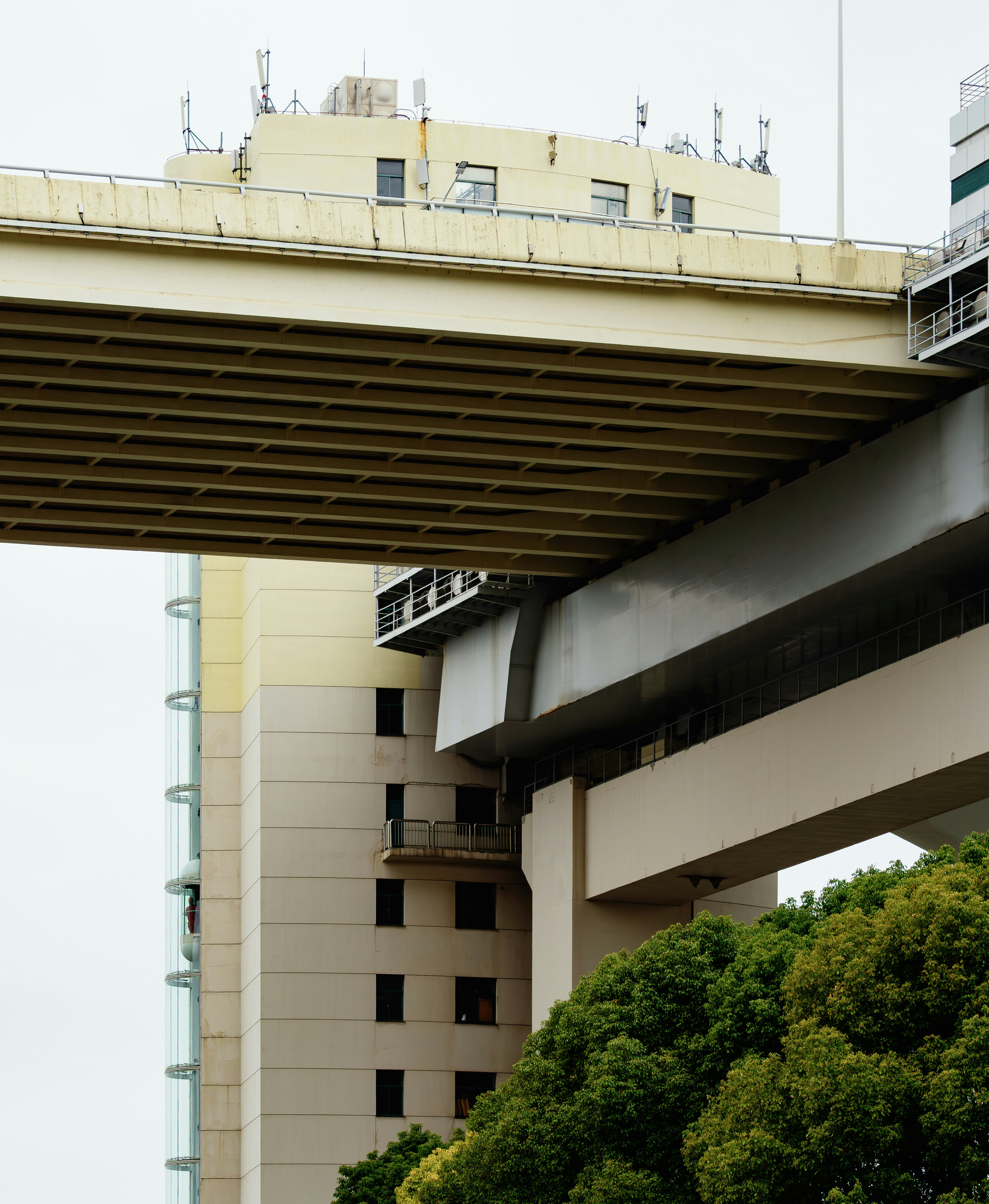 Under the Span: Urban Bridge and Tower Silhouette