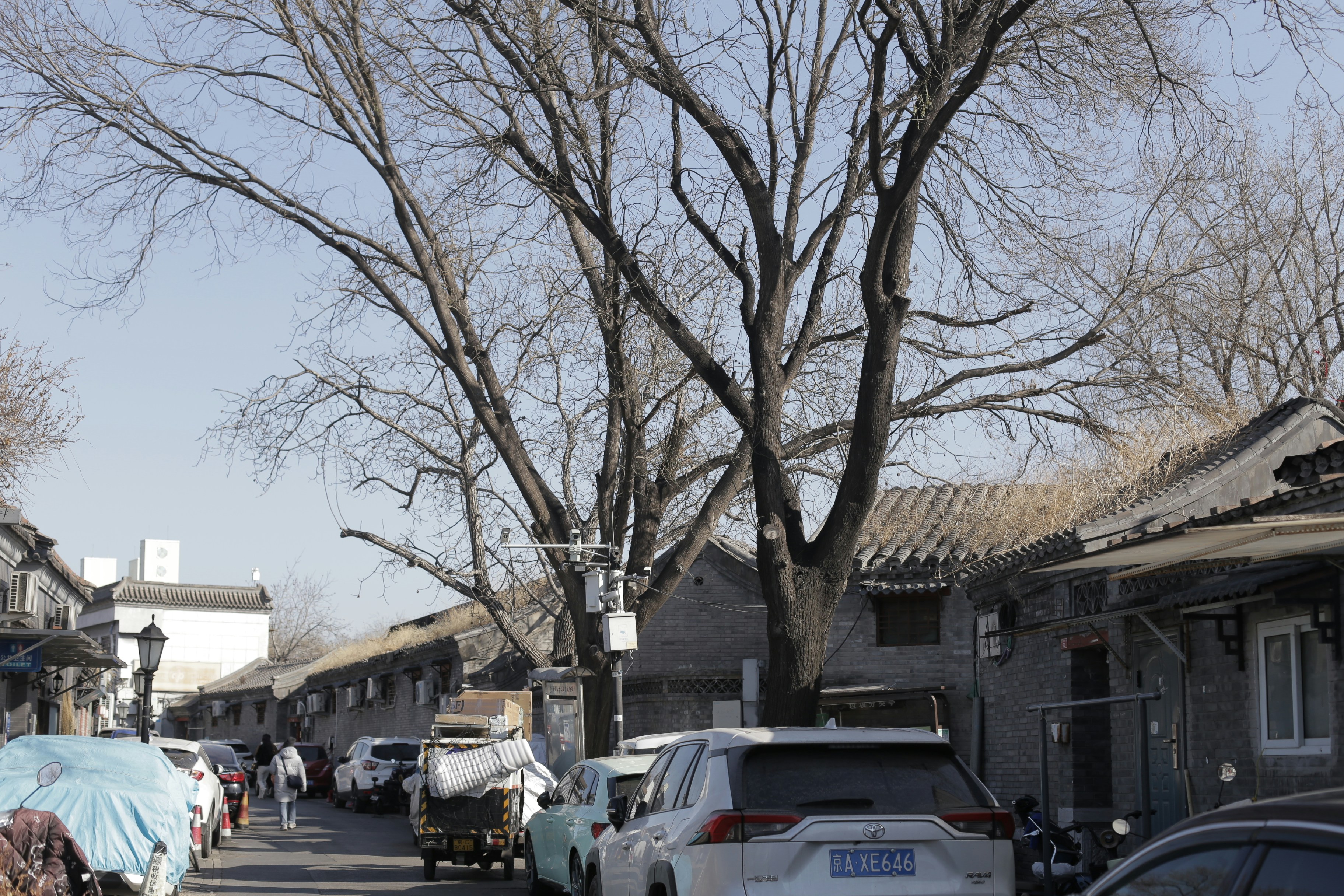 Sunlit Alley with Traditional Rooftops and Bare Trees