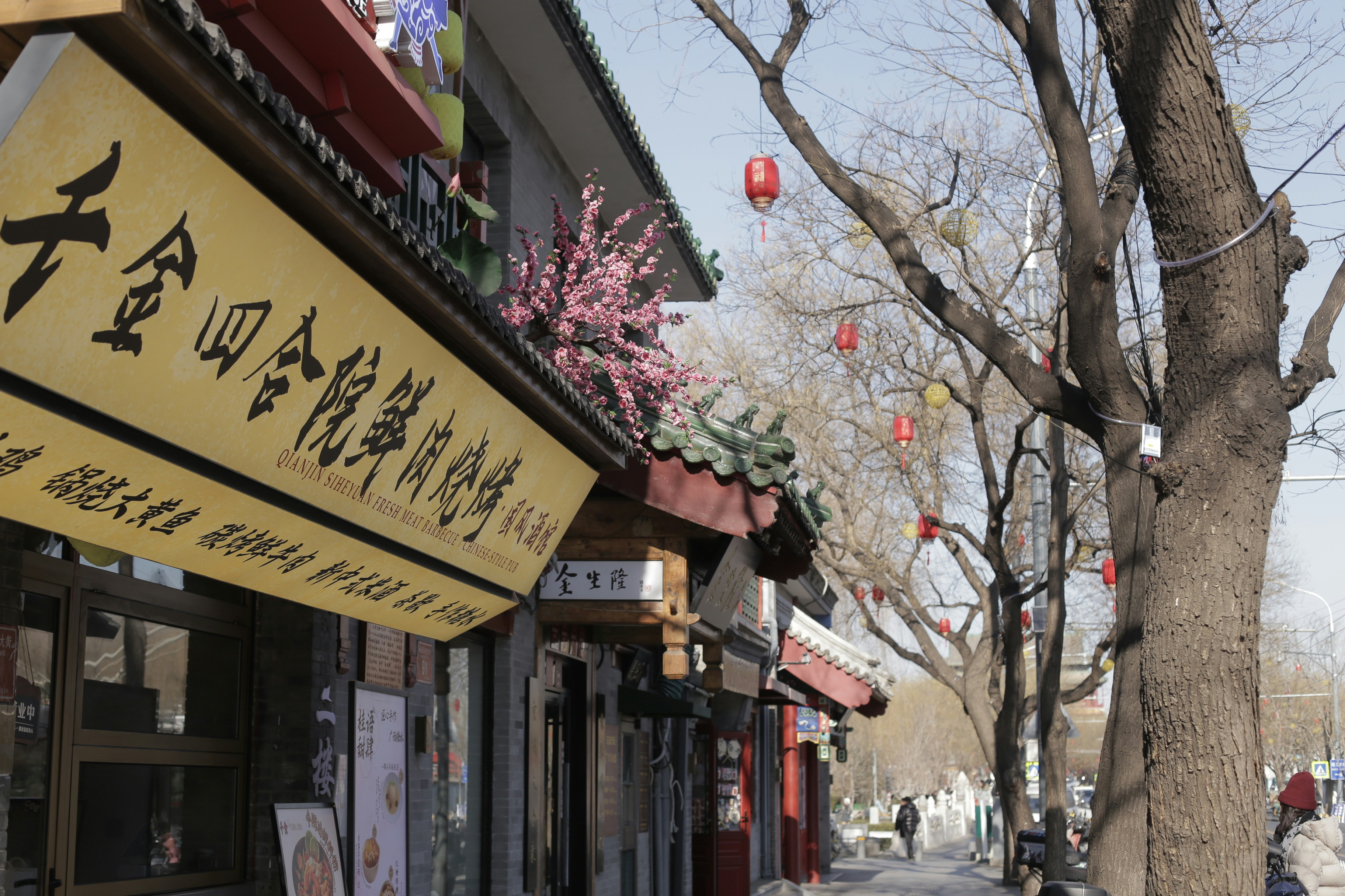 Street Shopfronts and Cherry Blossoms Along a Lanterned Corridor