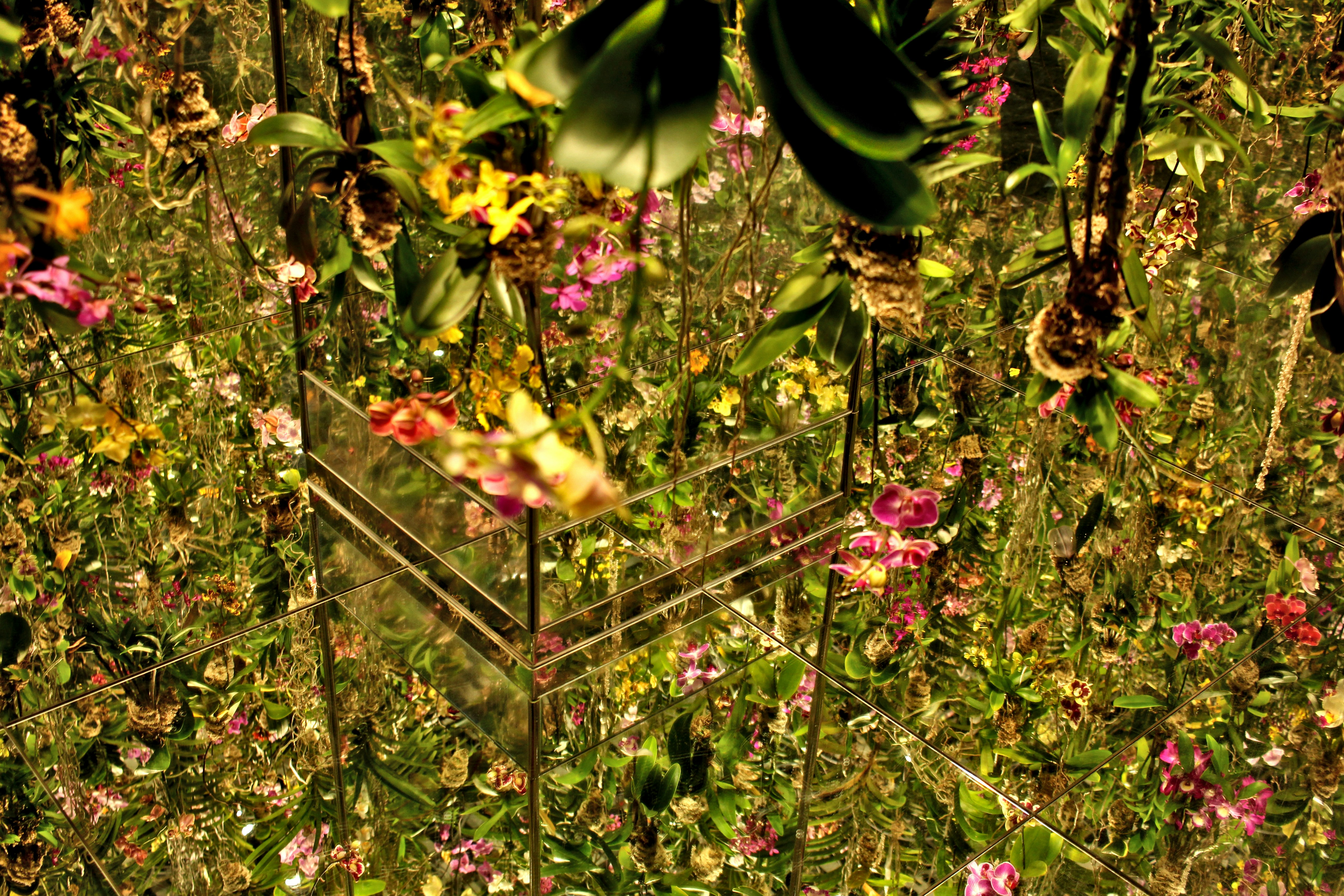 Reflections Among Blossoms: A Glass-Chelled Garden of Color