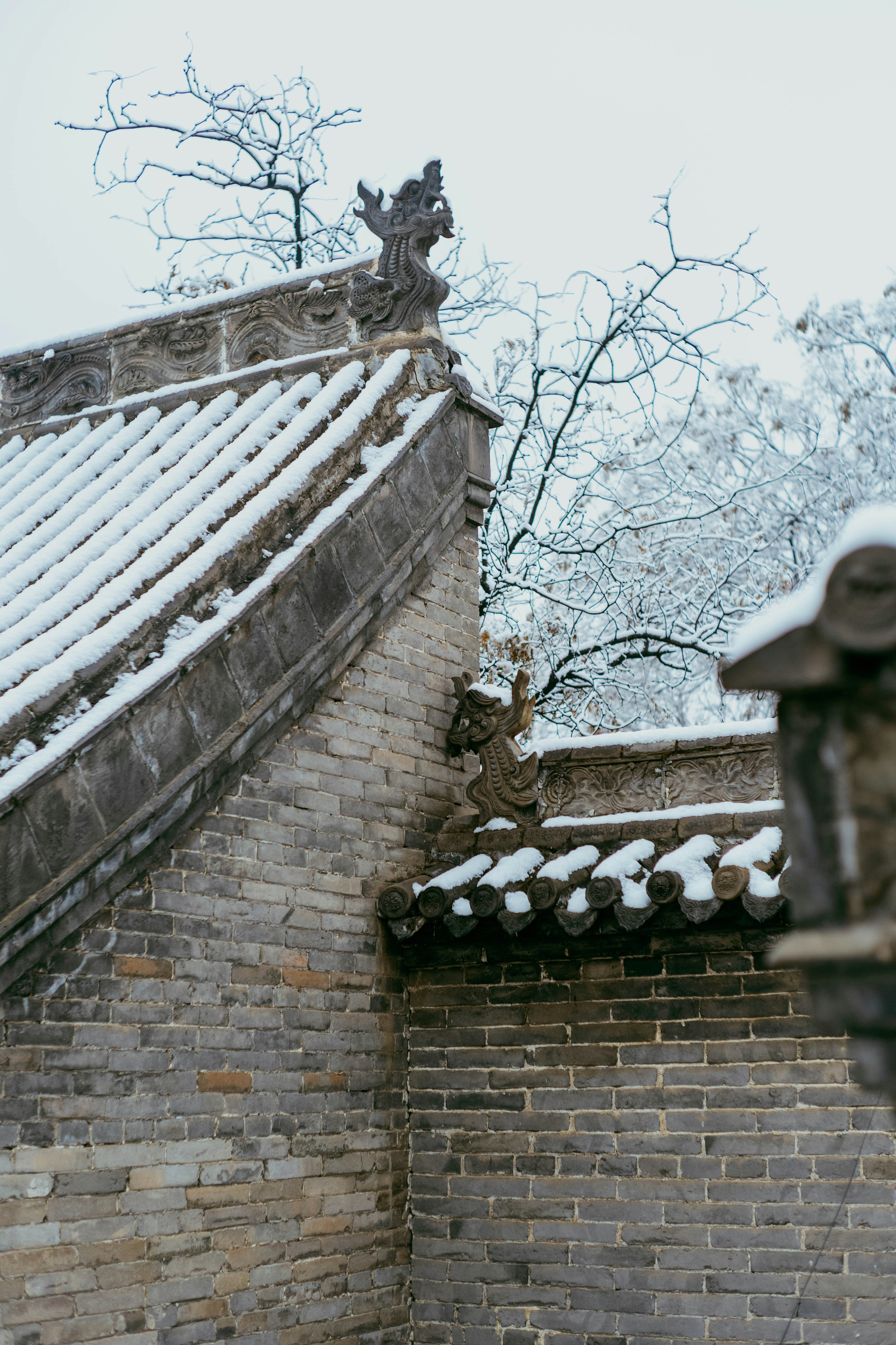 Snow-Washed Roofline: Guardians of the Ancient Wall