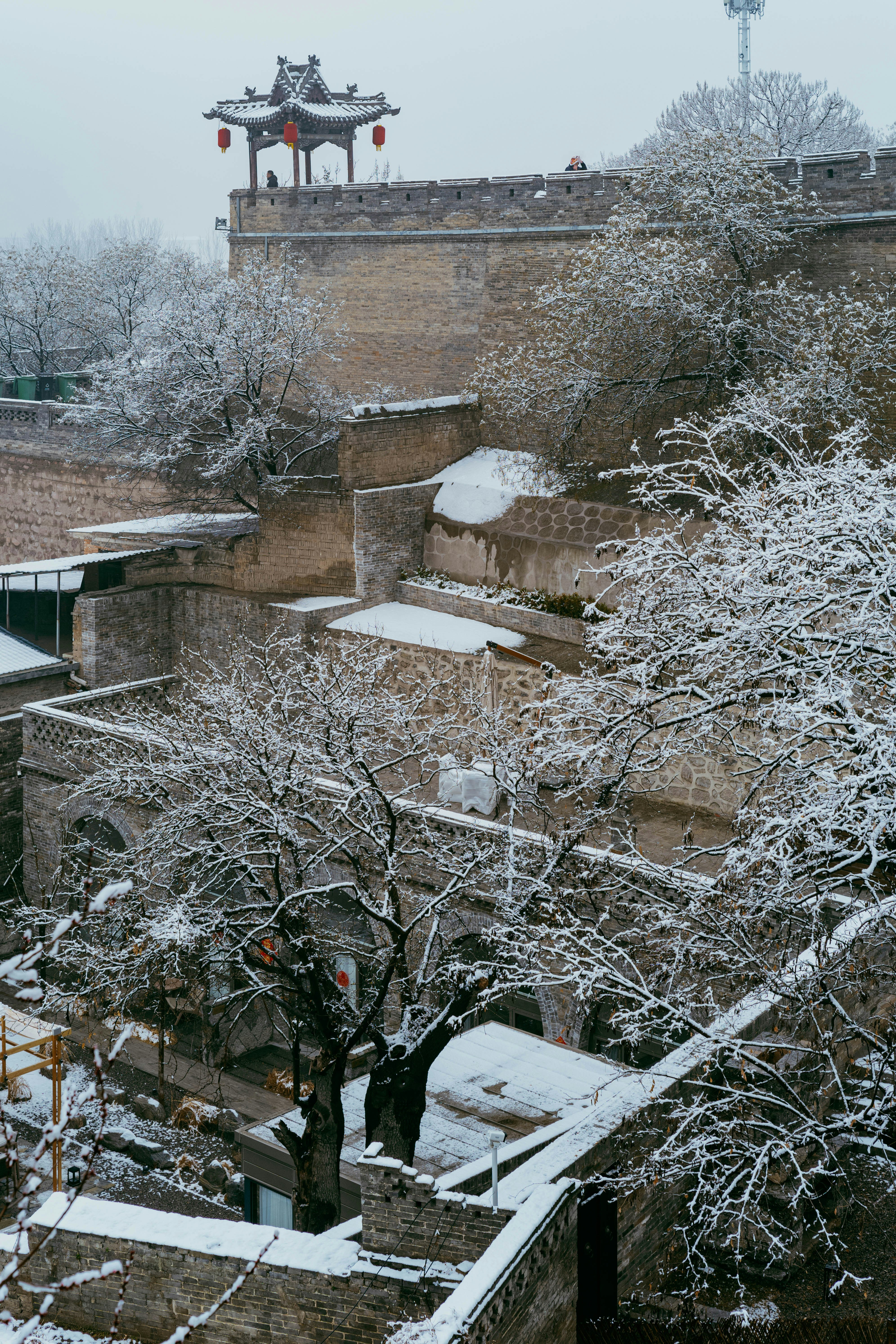 Snow-Covered City Wall overhanging a winter garden